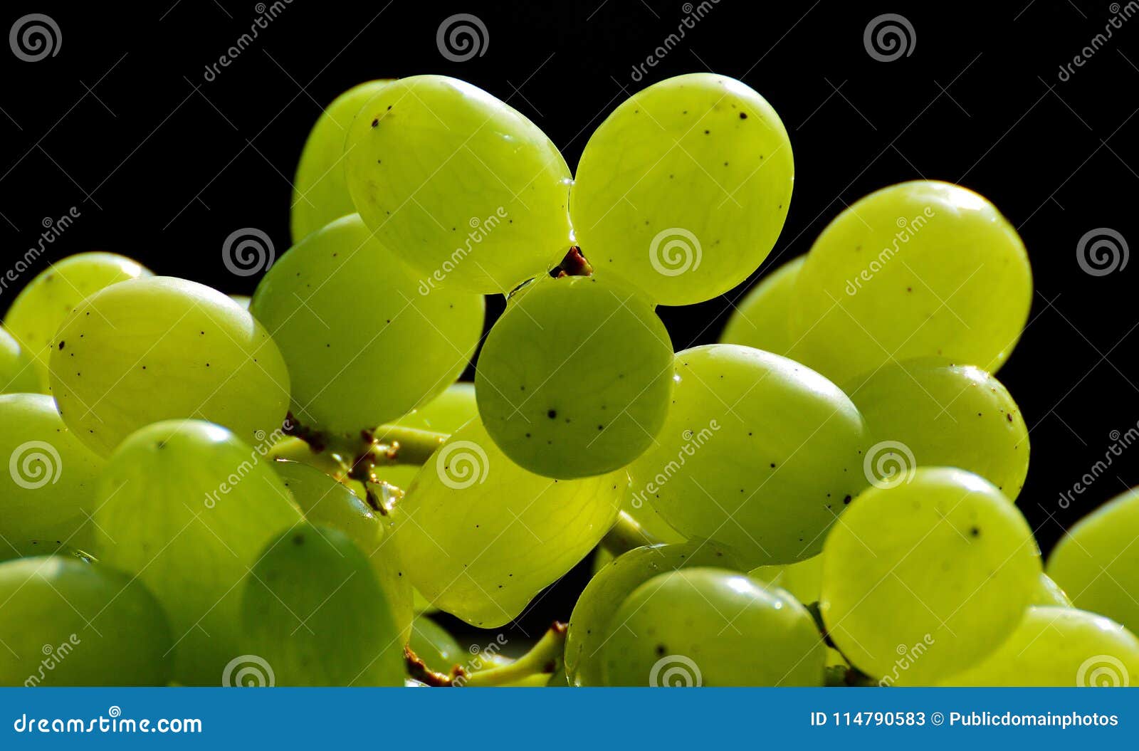 Grape, Fruit, Grapevine Family, Seedless Fruit Picture. Image: 114790583