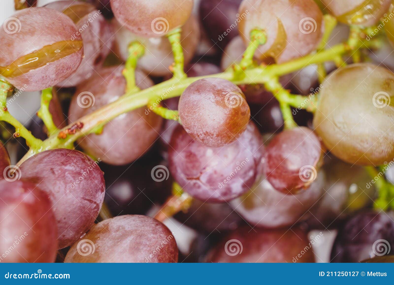 Grape Fruit Macro Image with Many Berries Stock Image - Image of brown ...