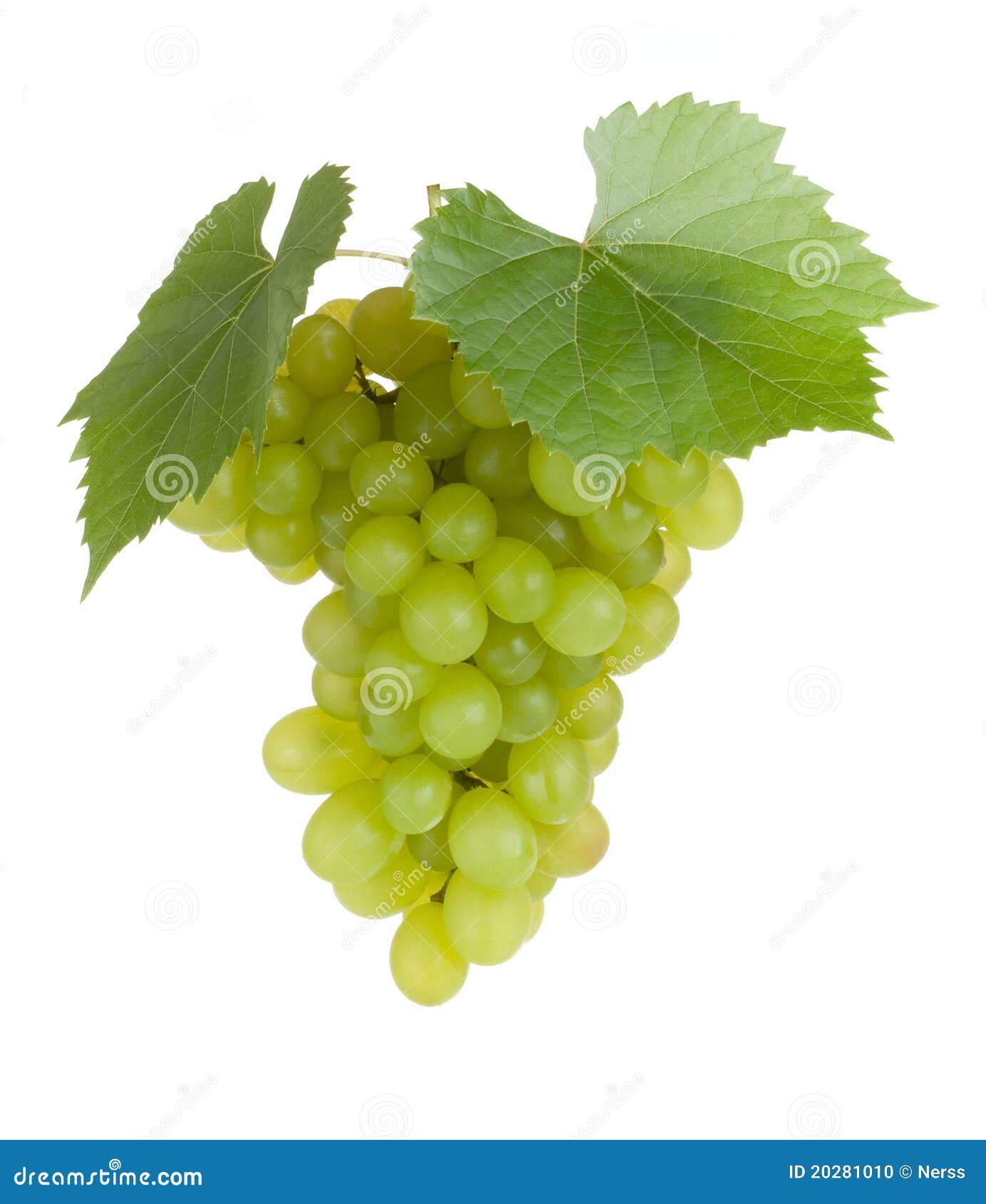 Grape fruits stock photo. Image of health, nutrition - 20281010
