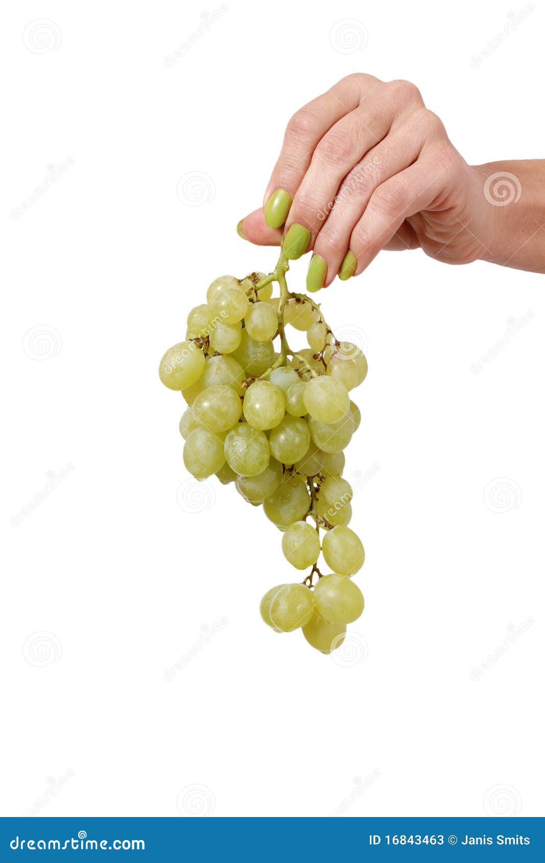 Grape in hand. stock image. Image of berries, hand, green - 16843463