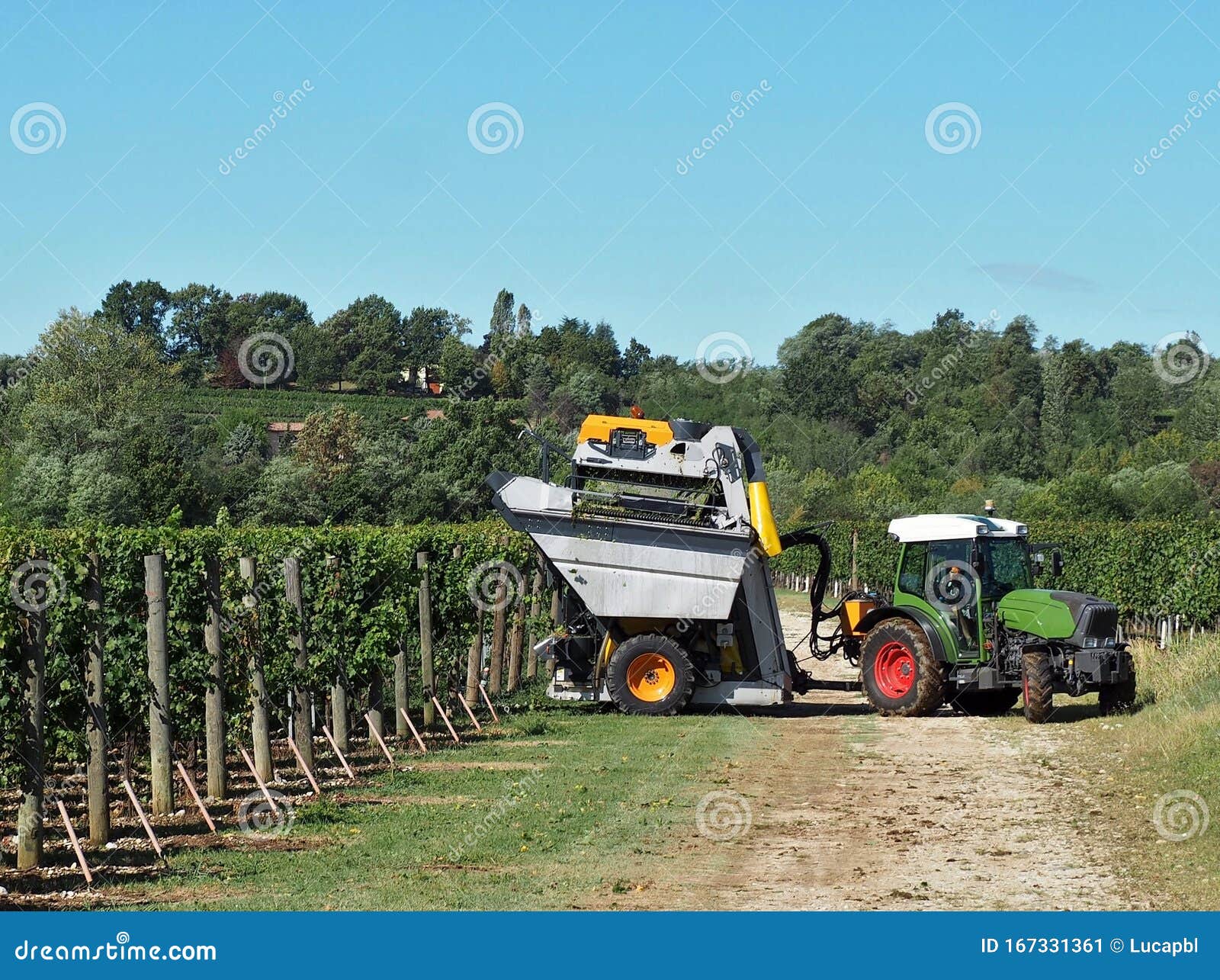 A Grape Harvester Machine Pulled by a Tractor at the End of a Rows of ...