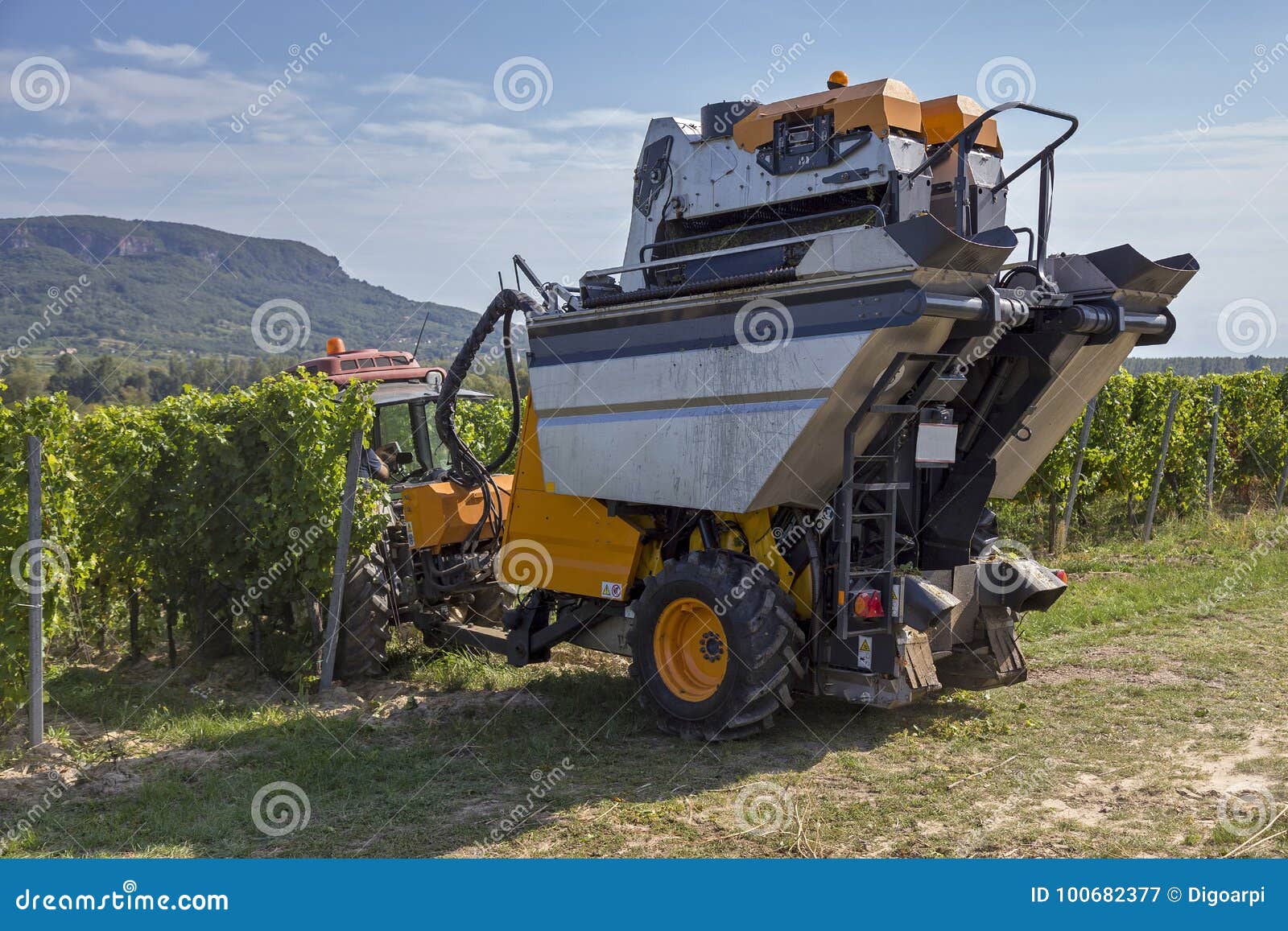 Grape Harvesting Machine Working in Autumn Stock Image - Image of ...