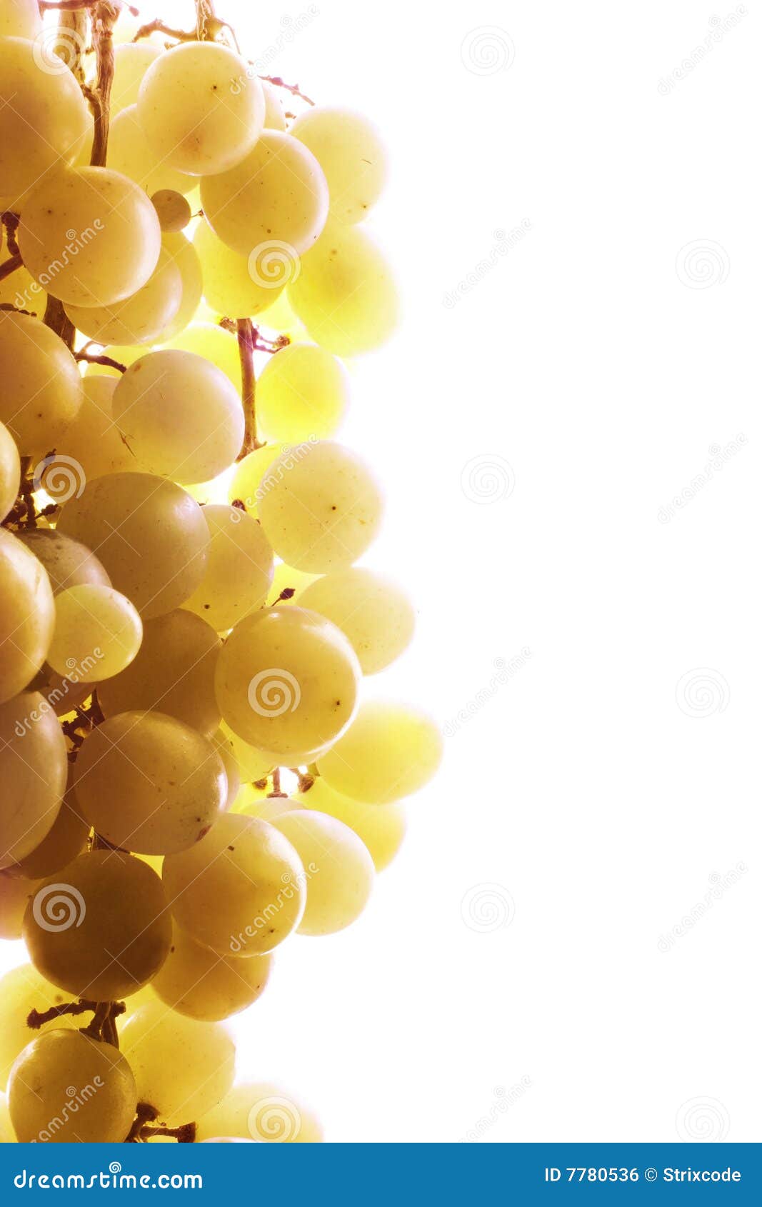 Grape in high light mode stock photo. Image of light, freshness - 7780536