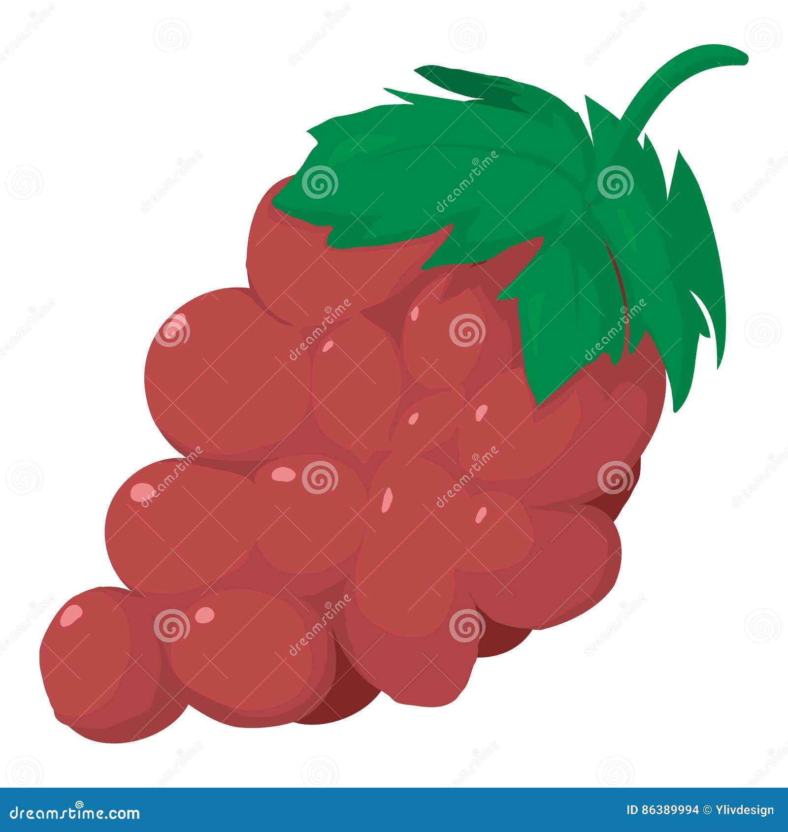 Grape icon, cartoon style stock vector. Illustration of agriculture ...