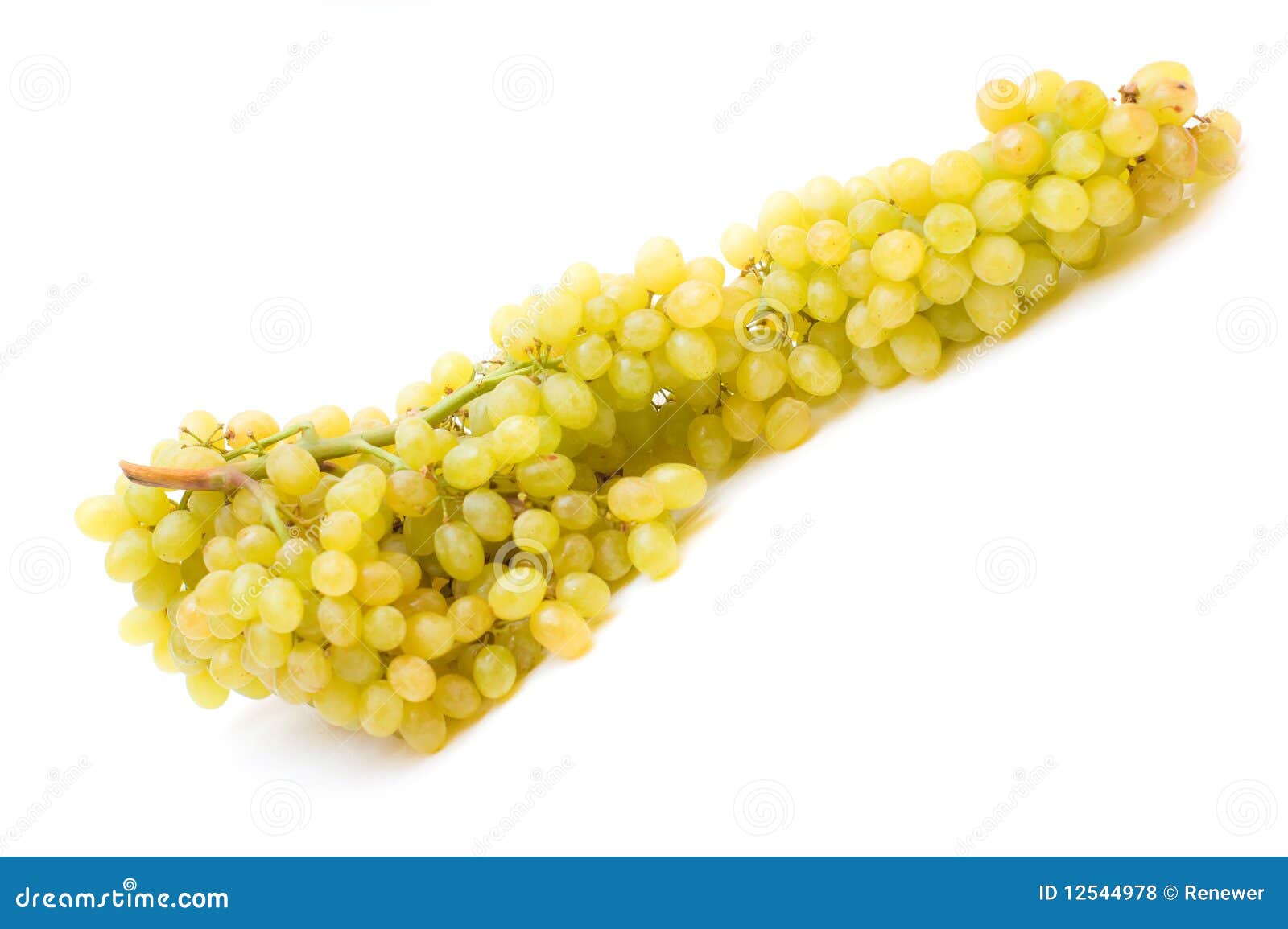 Grape isolated stock photo. Image of grow, green, bunch - 12544978