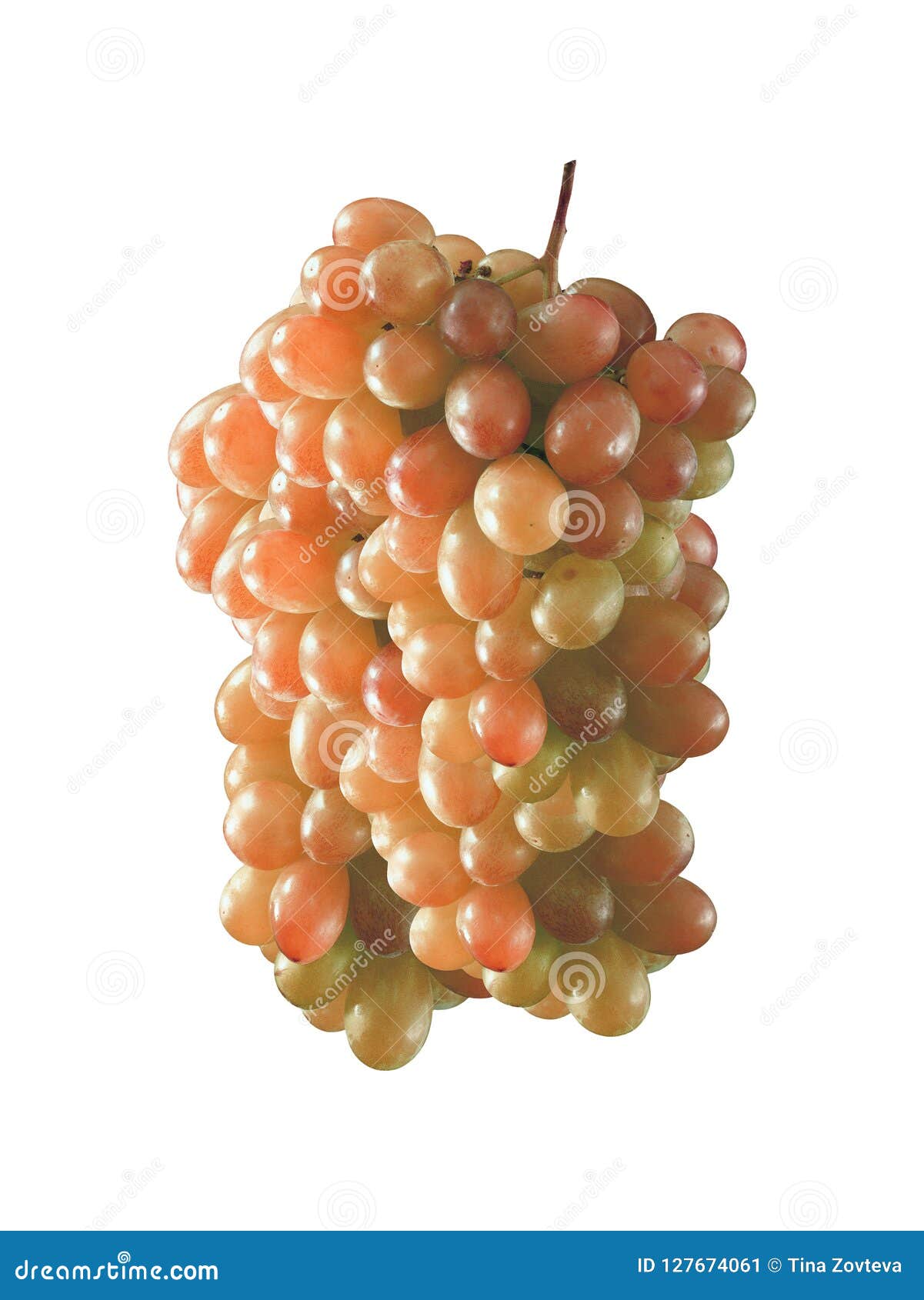 Grape isolated on white stock image. Image of tendril - 127674061