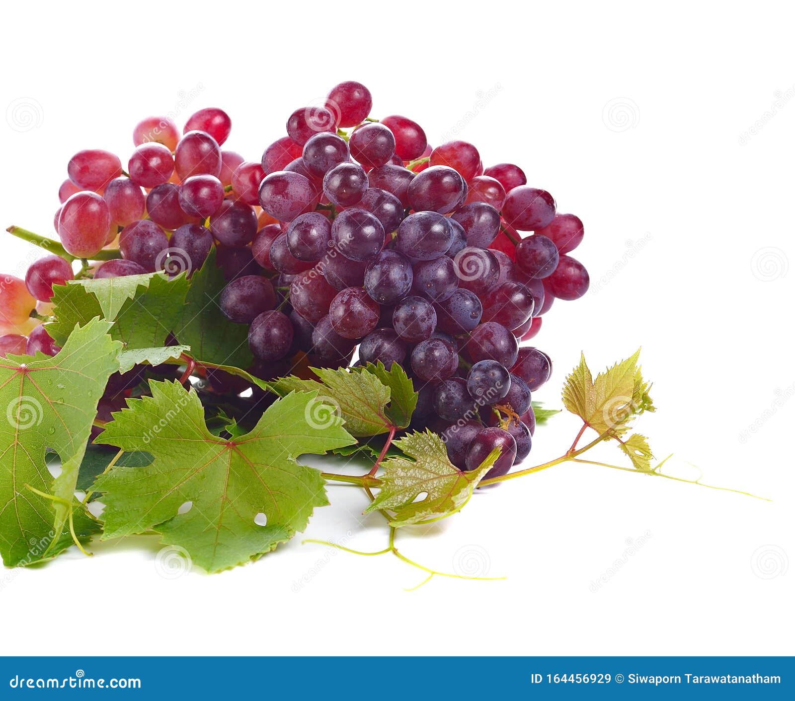 Grape Isolated on White Background Stock Image - Image of grow, white ...