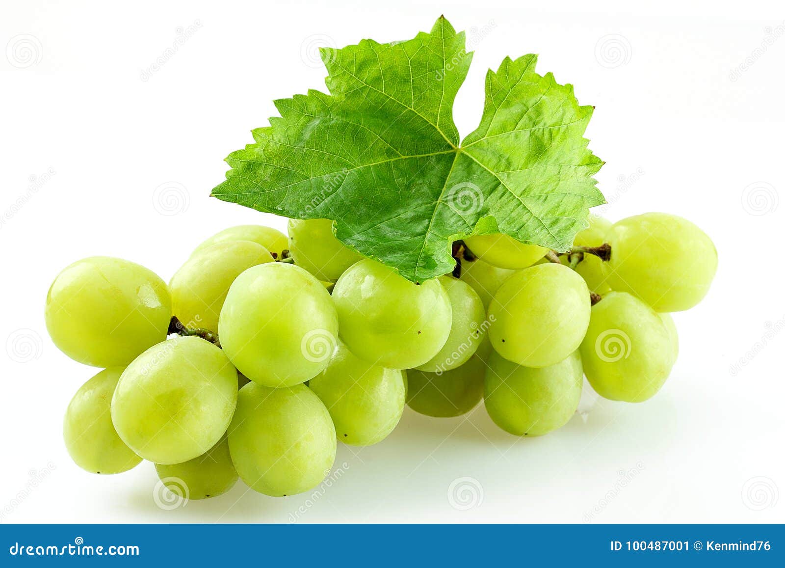 Grape Isolated on White Background Stock Image - Image of winery ...