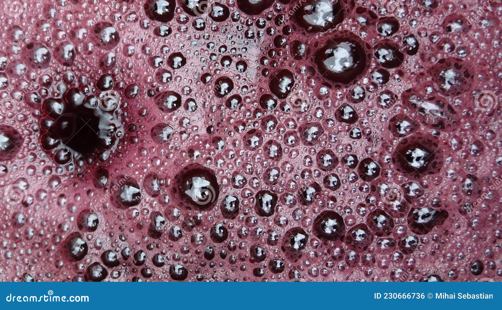 Grape Juice Bubbles stock photo. Image of circle, appetizing - 230666736