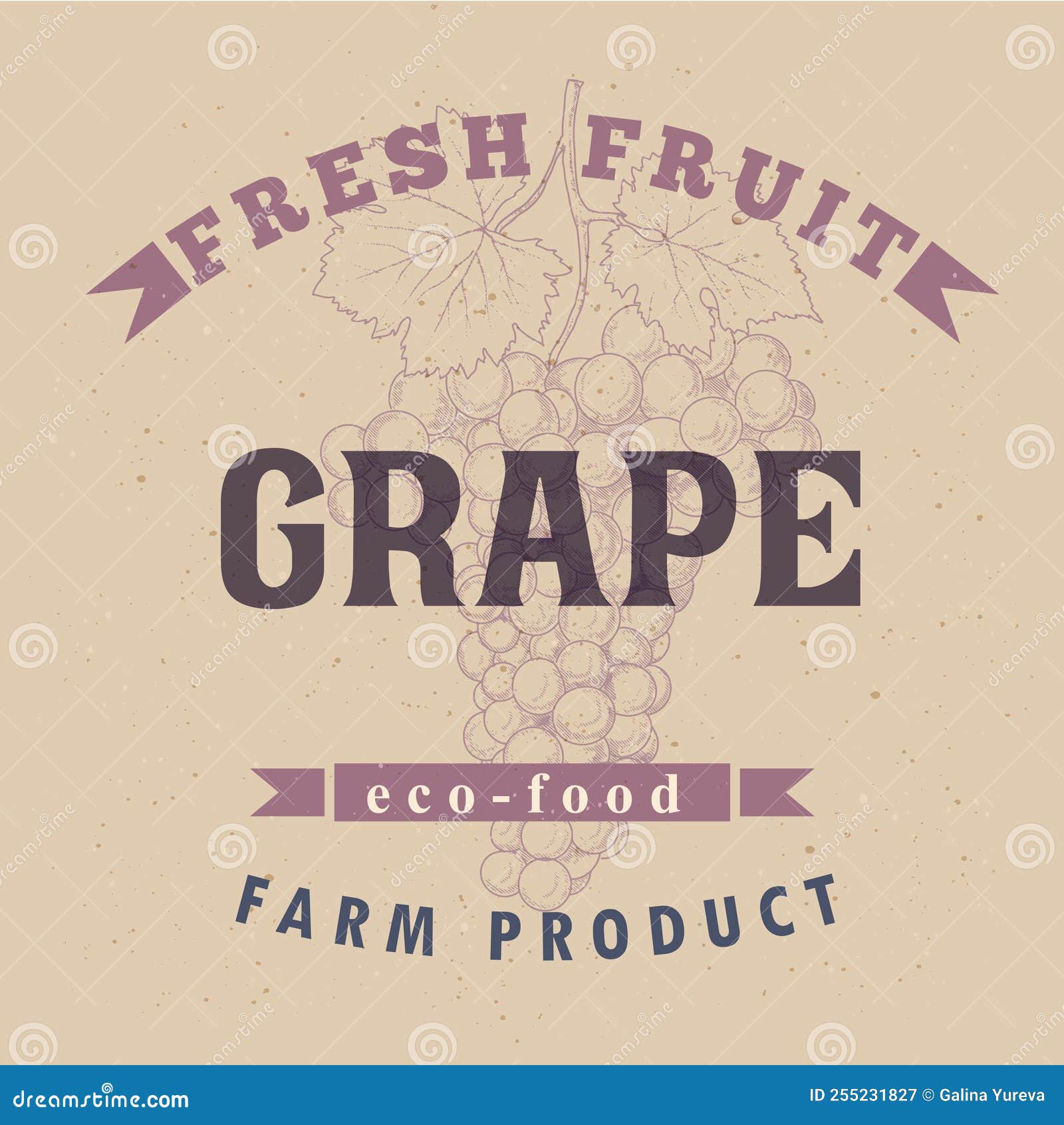 Grape label design stock vector. Illustration of engraving - 255231827