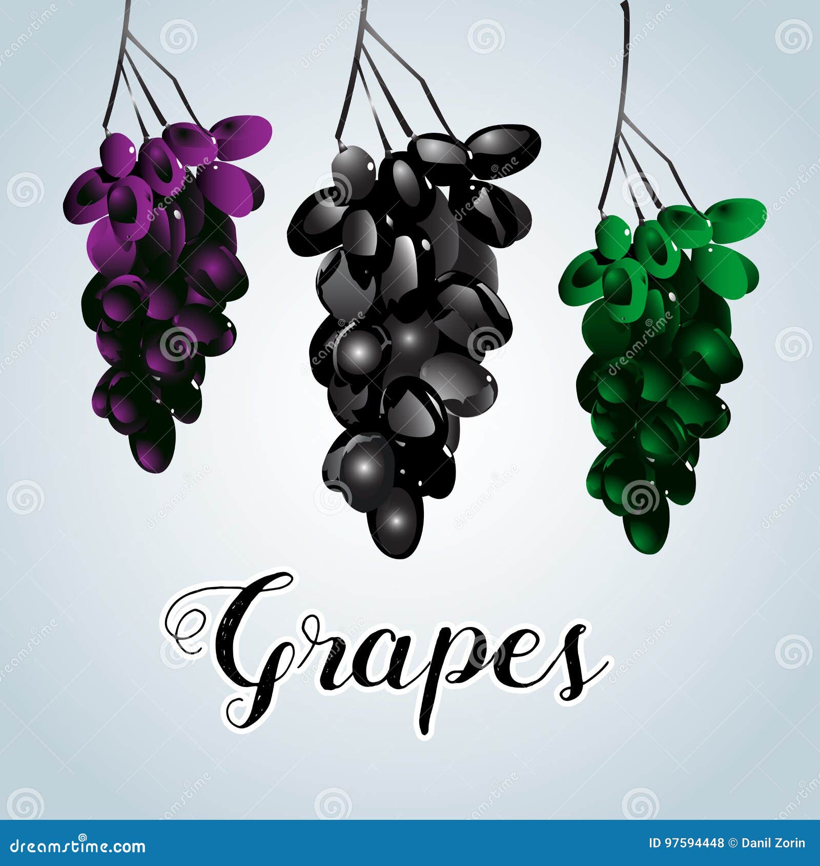 Grape Label Template. Bunch Of Black Grapes With Leaves Isolated On ...