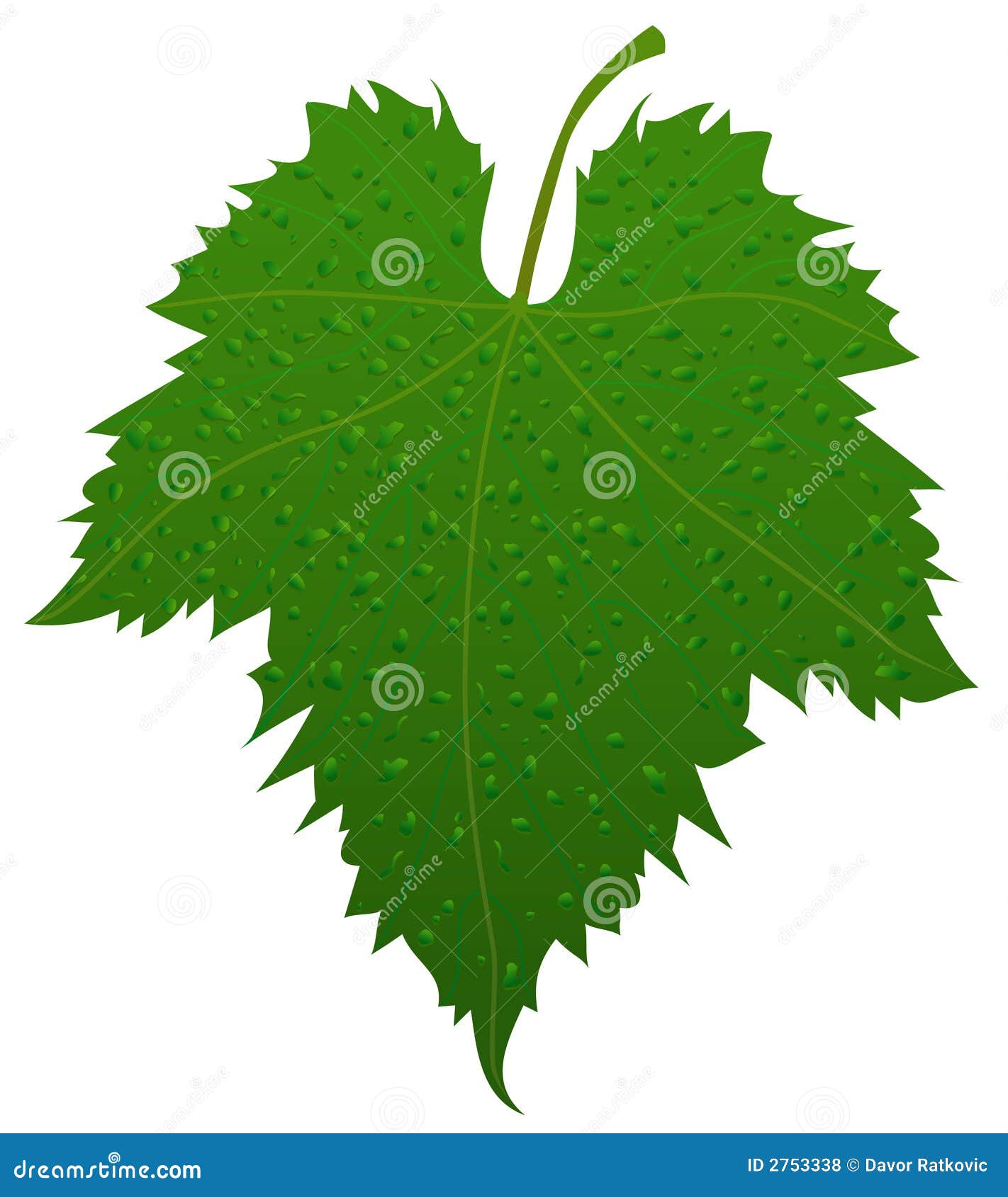 Grape leaf stock vector. Illustration of drop, background - 2753338