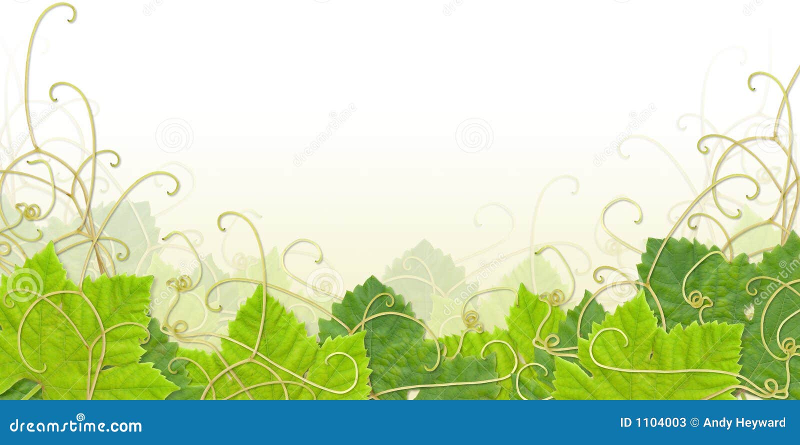 Grape leaf footer stock image. Image of aotearoa, twirl - 1104003