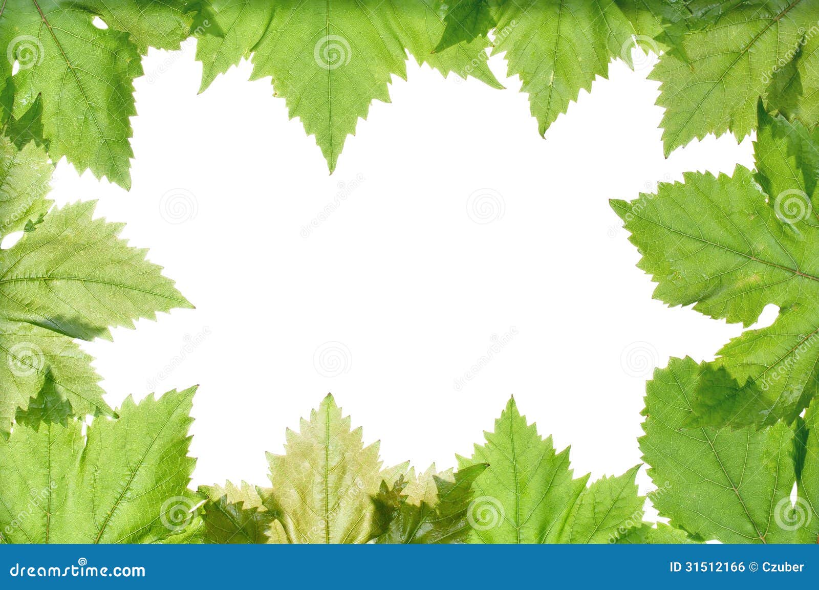 Grape Leaves Border Royalty-Free Stock Image | CartoonDealer.com #31512166
