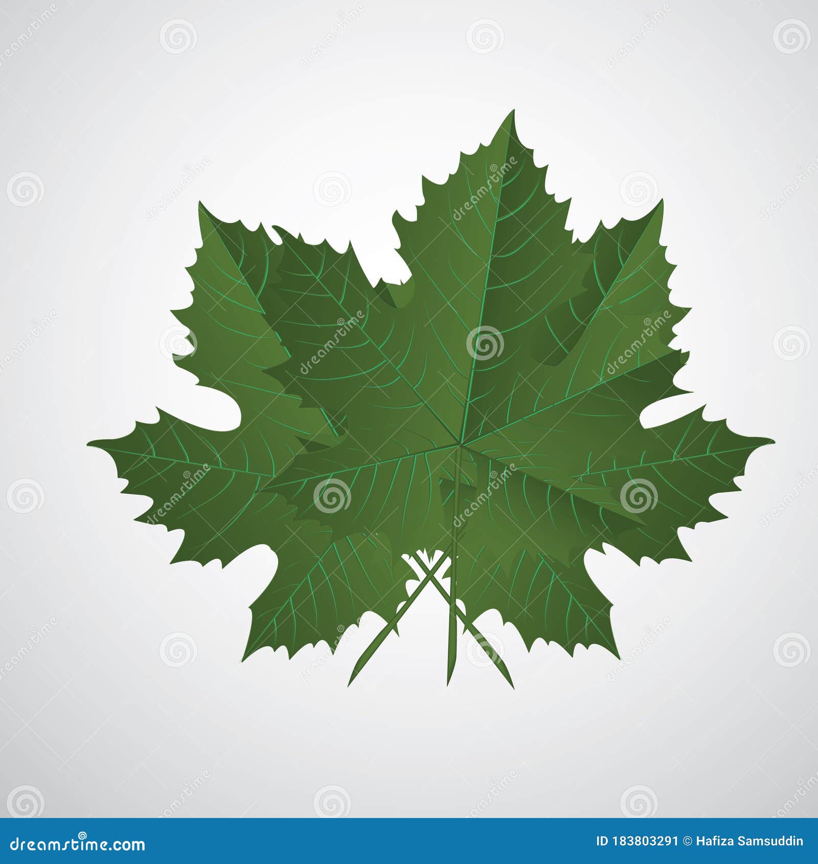Grape Leaves. Vector Illustration Decorative Background Design Stock ...