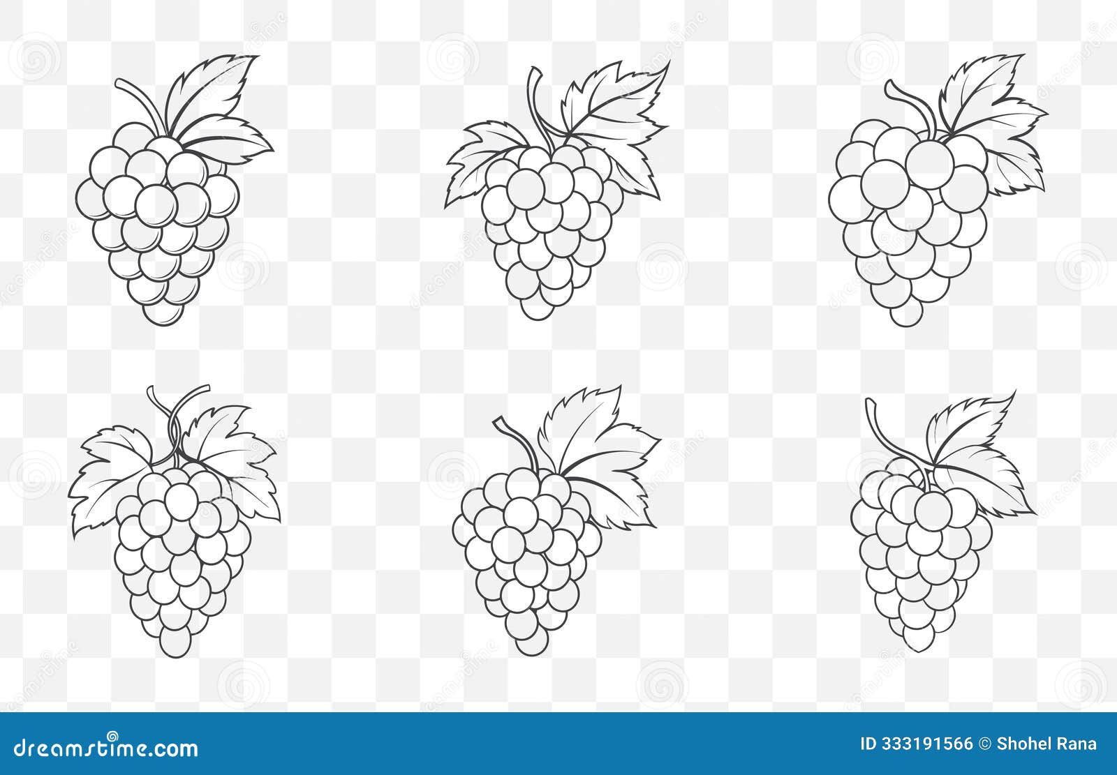 Print Grape Line Art Vector Set Featuring Detailed Illustrations of ...