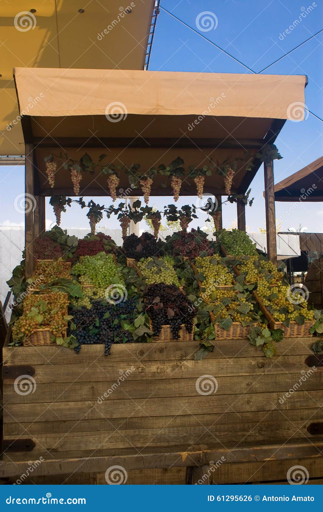 Grape market stock photo. Image of grapes, market, fair - 61295626