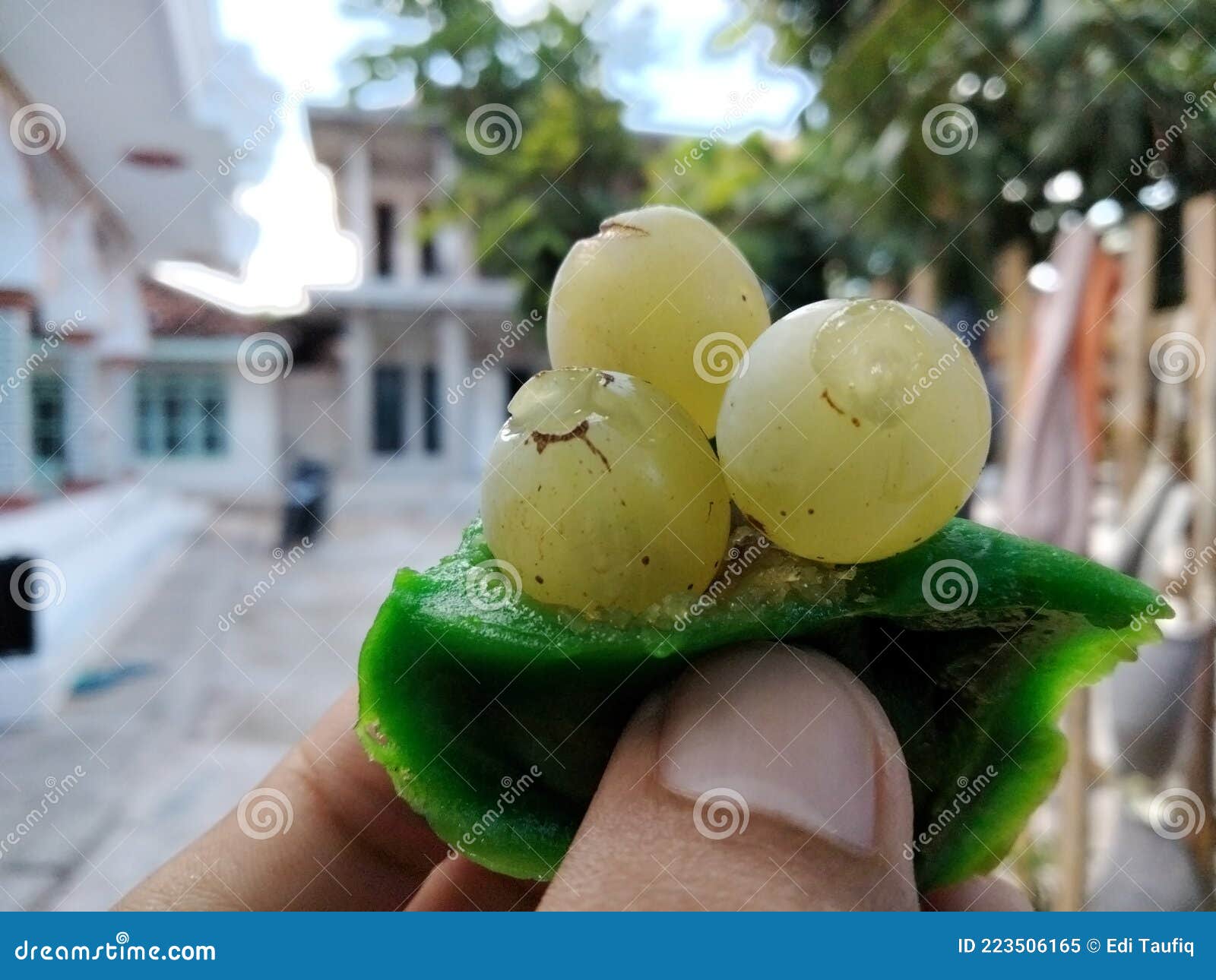 Grape nice fresh stock image. Image of grape, vegetable - 223506165