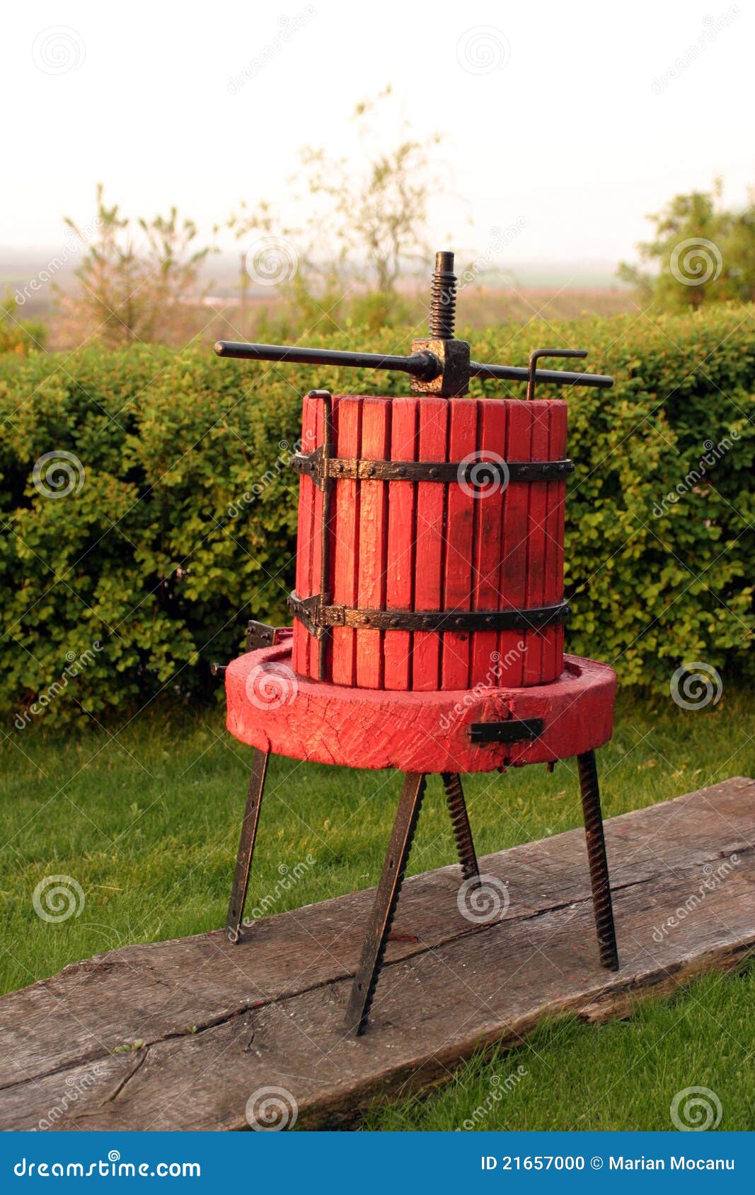 Grape press stock photo. Image of attract, iron, wood - 21657000