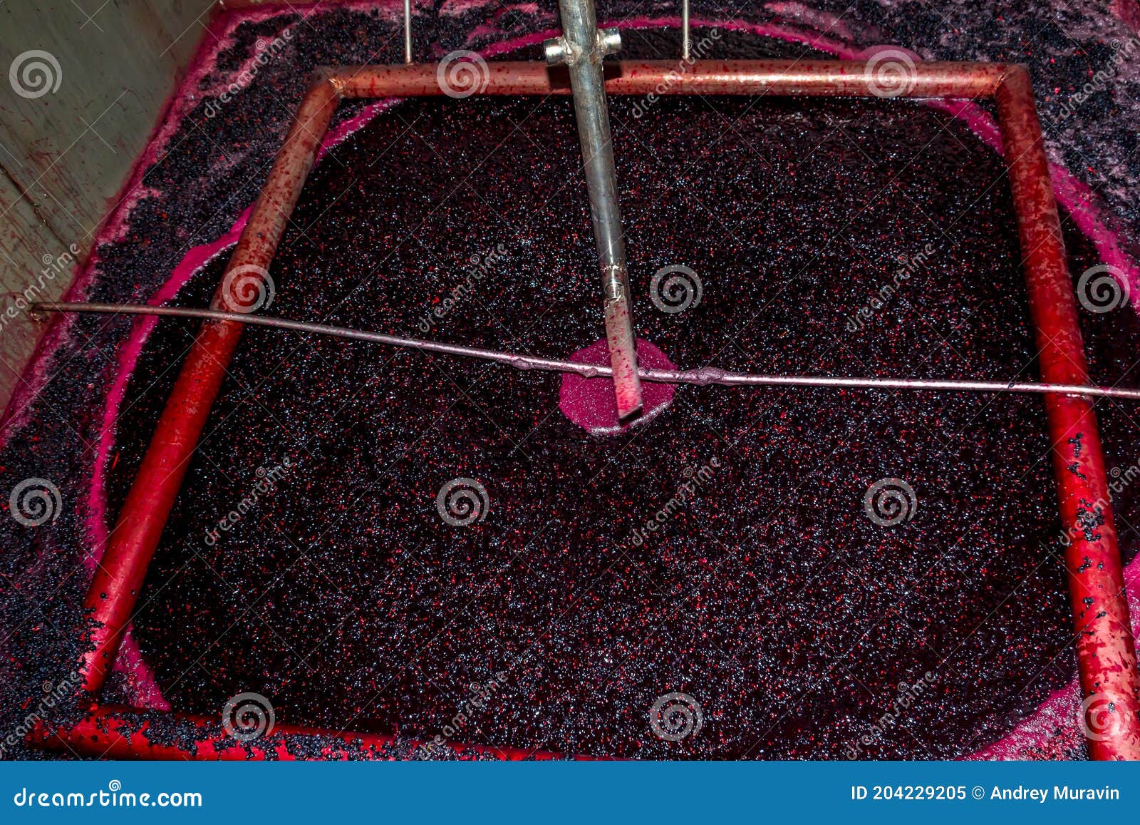 Grape processing stock image. Image of pressure, winery - 204229205