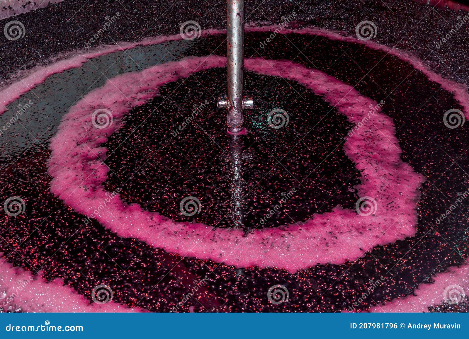 Grape processing stock photo. Image of vine, process - 207981796