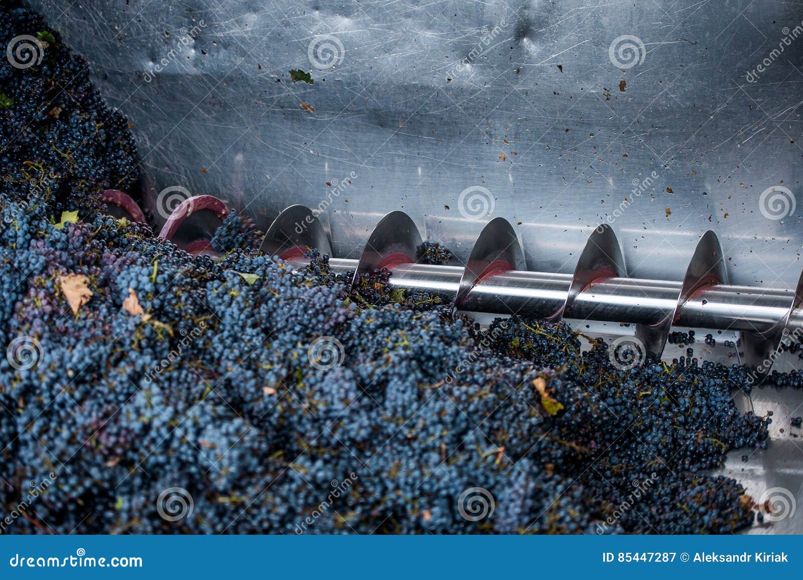 Grape Processing on the Machine Stock Image - Image of liquid ...