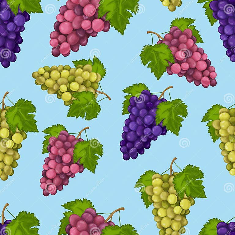Grape. Seamless Pattern with the Image of Green and Blue Grapes. Grape ...