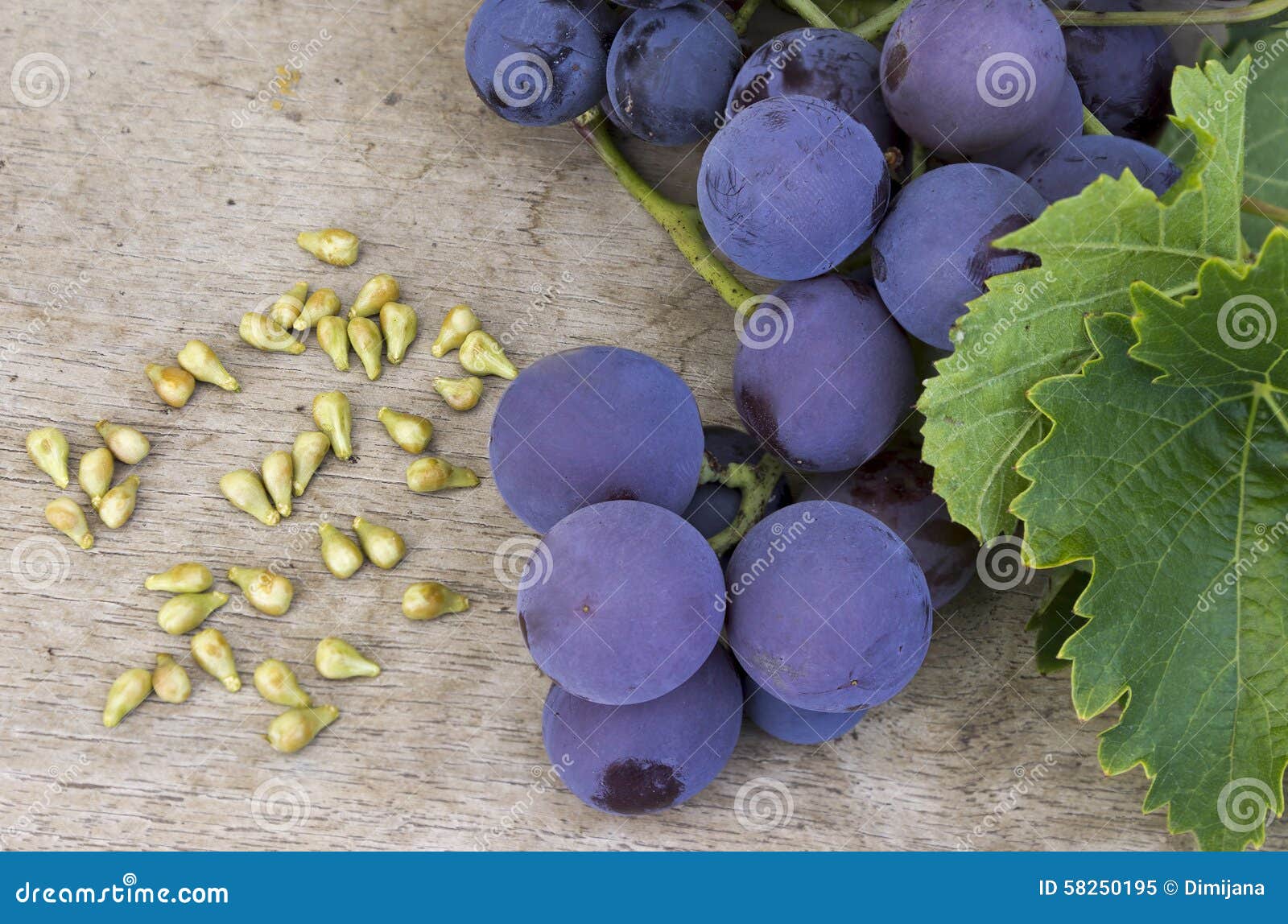 Grape seed stock image. Image of grape, food, bunch, pharmacy - 58250195