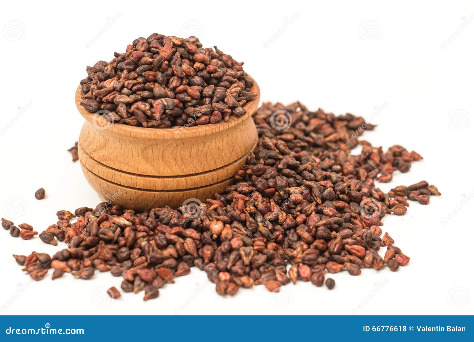 Grape seed stock photo. Image of fruit, agriculture, raisin - 66776618