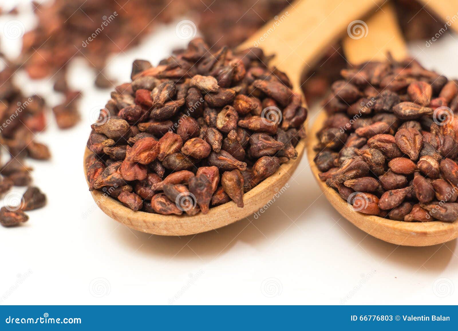 Grape seed stock image. Image of pips, isolated, medicine - 66776803