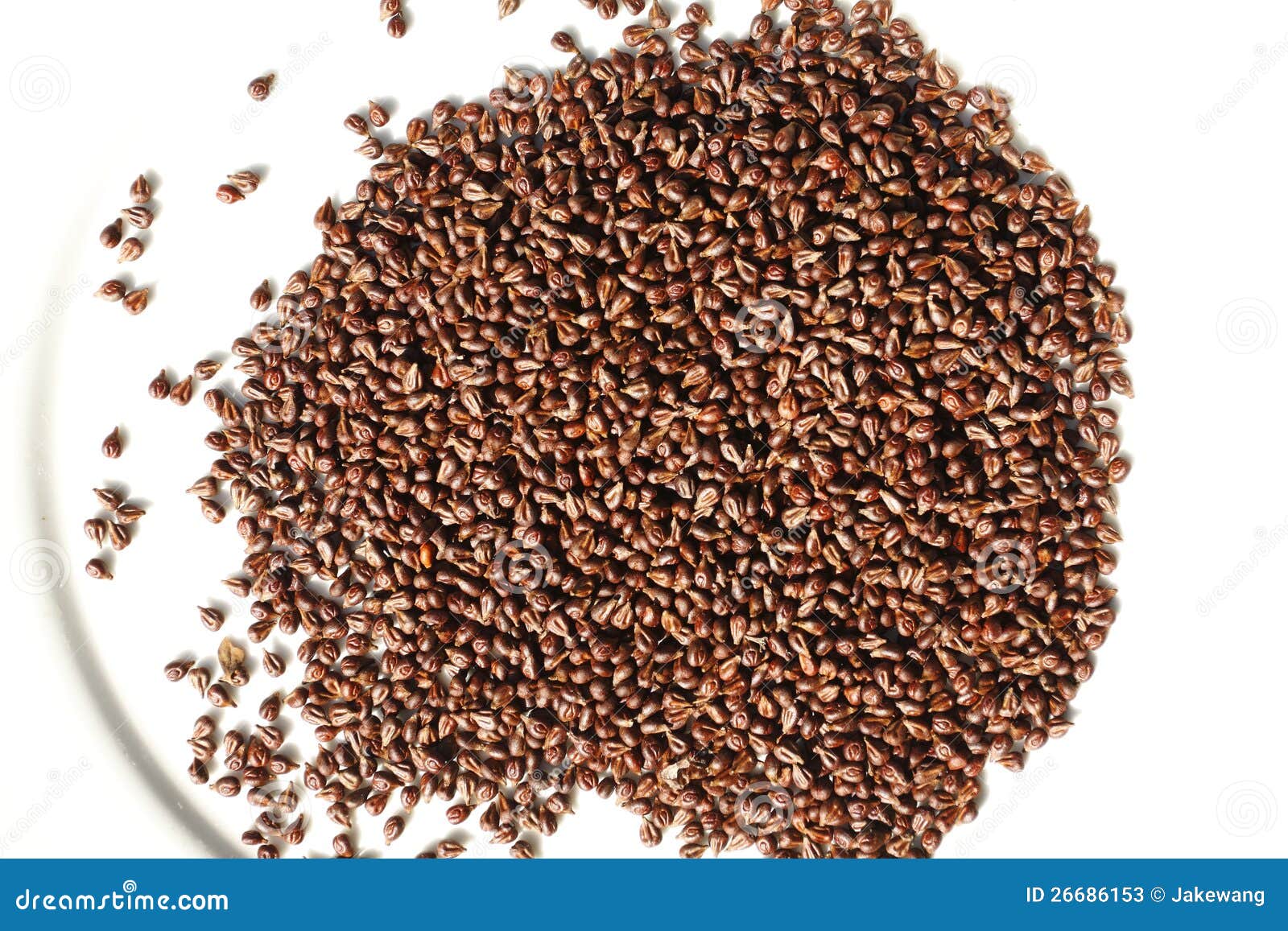 Grape seeds stock image. Image of ripe, mature, seed - 26686153