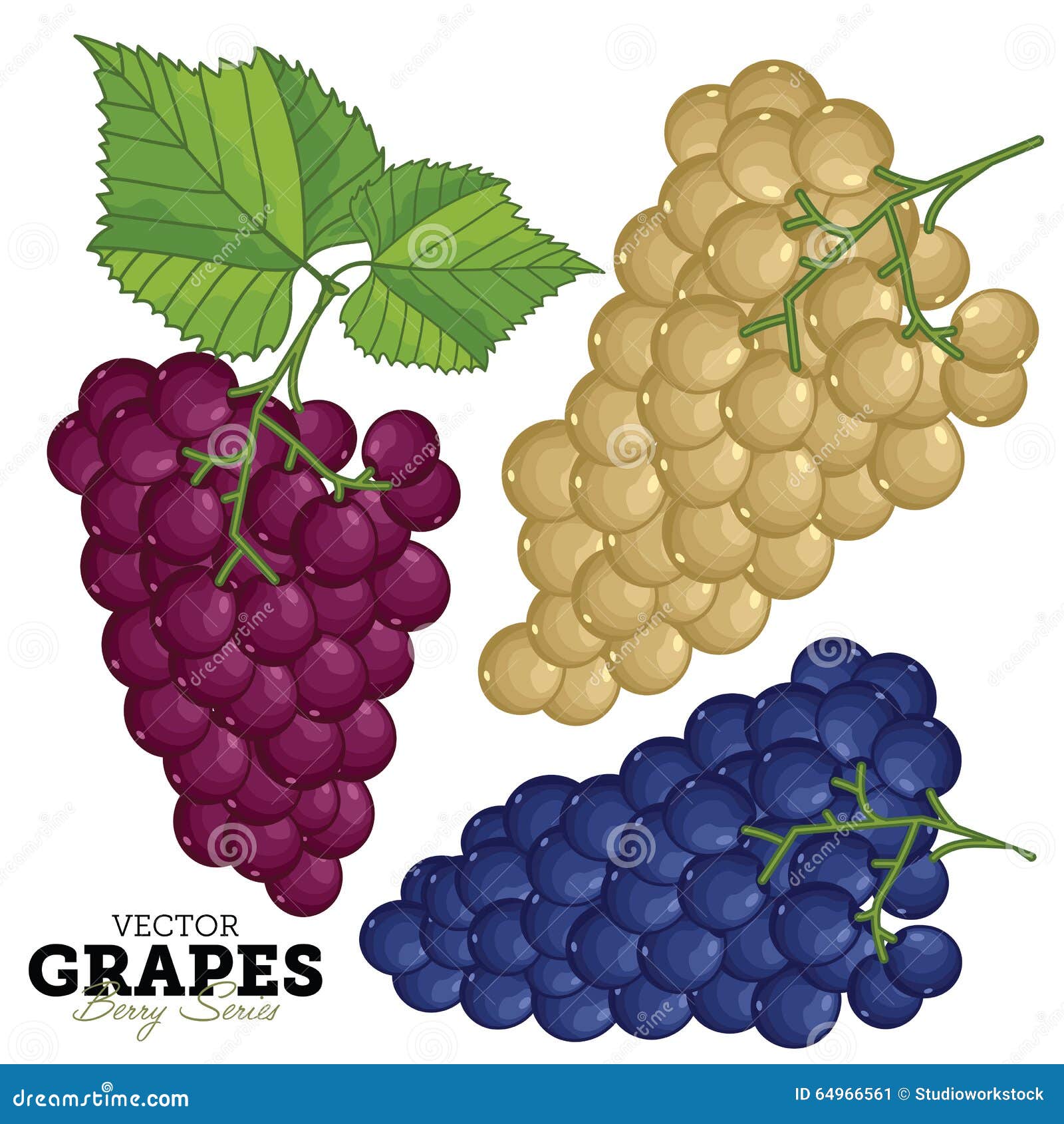 Grape Set, Vector. stock vector. Illustration of vector - 64966561