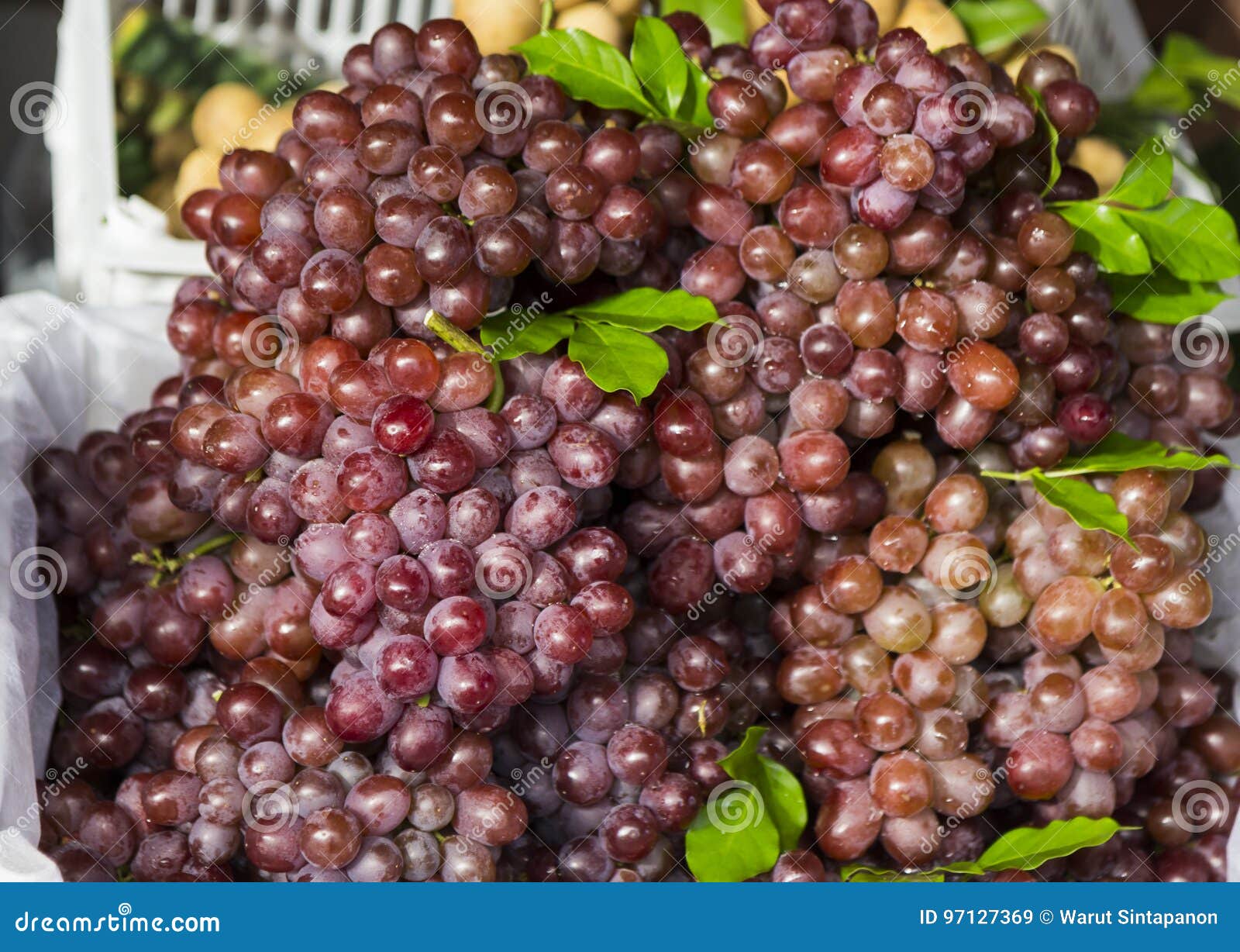 Grape in a street market stock image. Image of dessert - 97127369