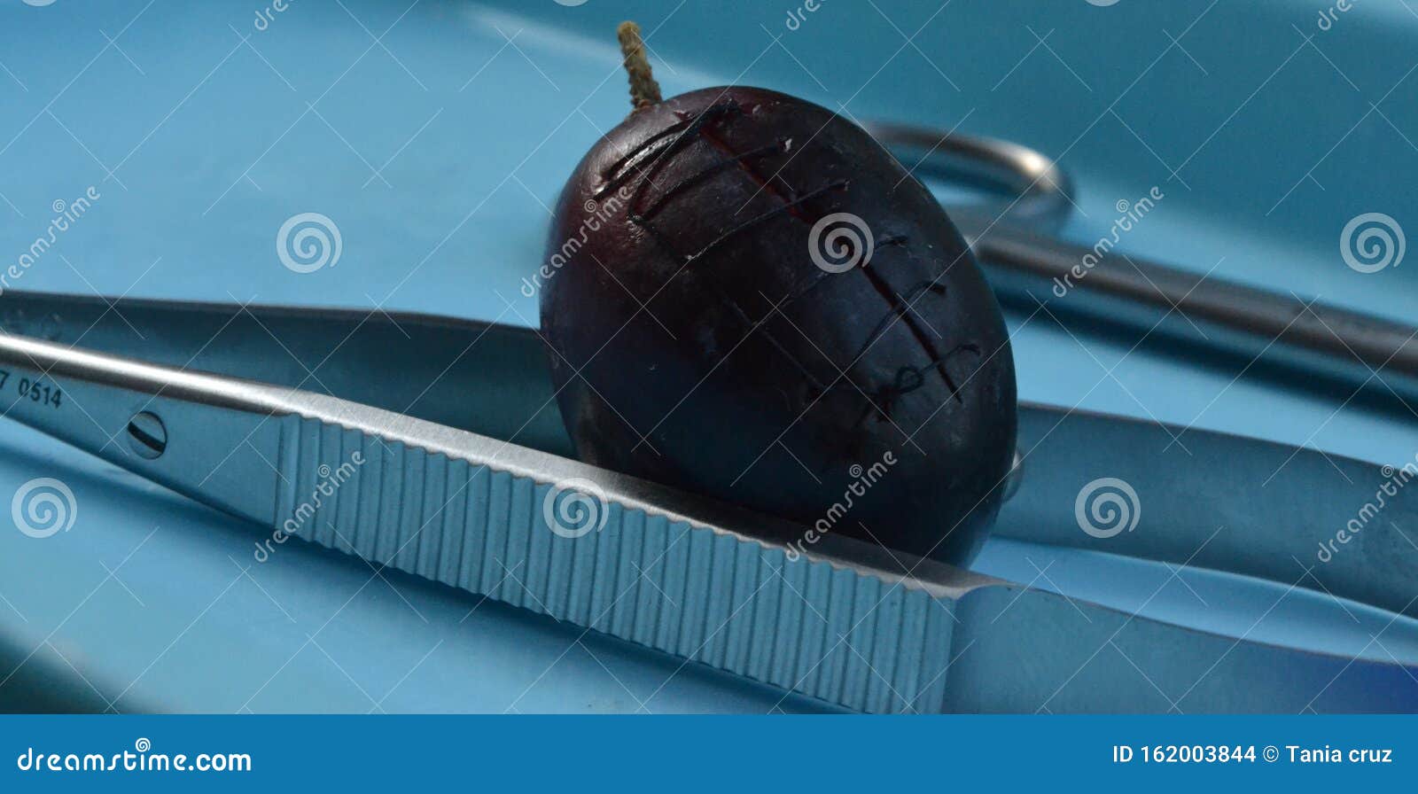 Grape stock photo. Image of medical, grape, surgery - 162003844