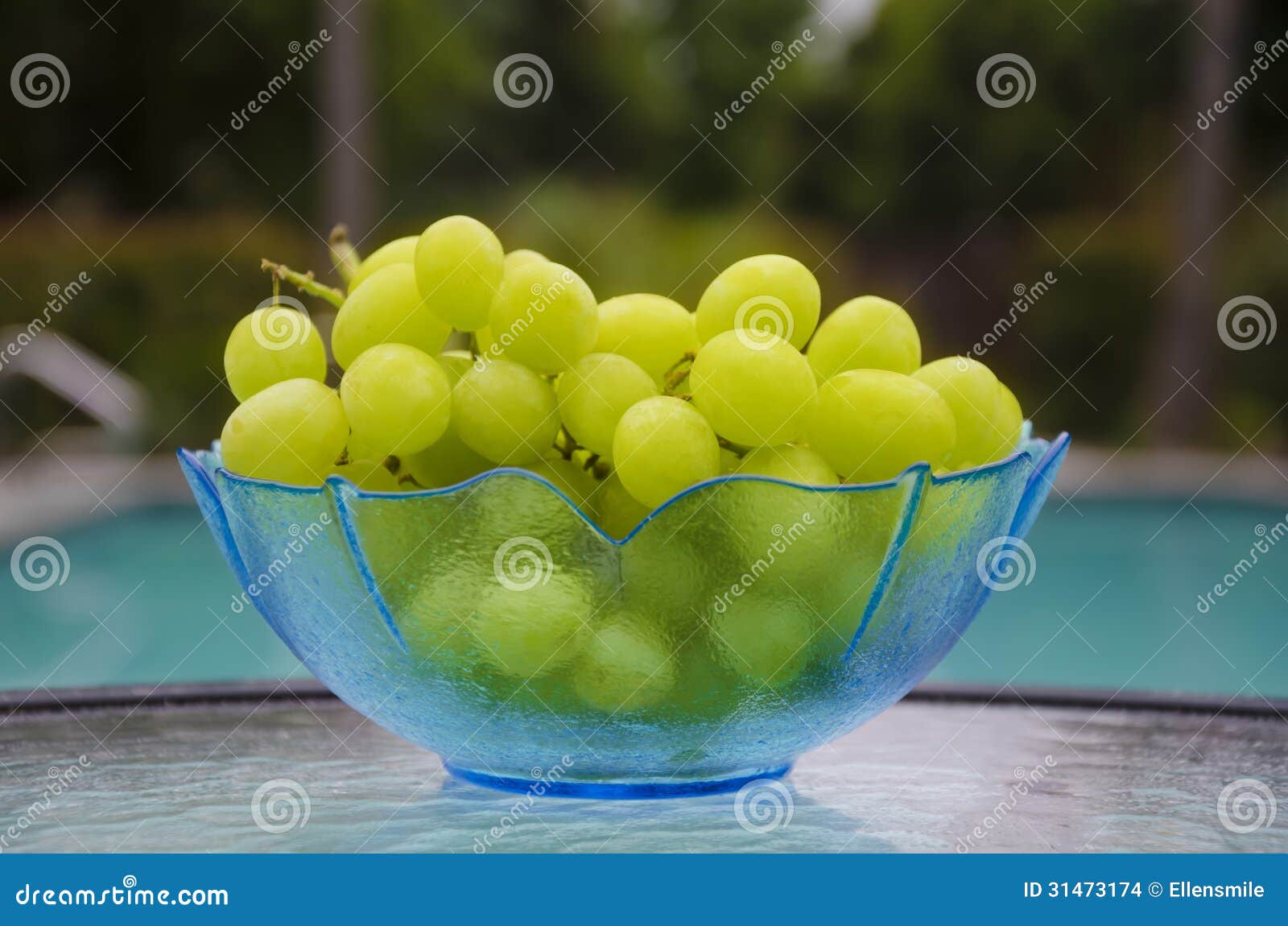 Grape by the swimmimg pool stock photo. Image of berry - 31473174