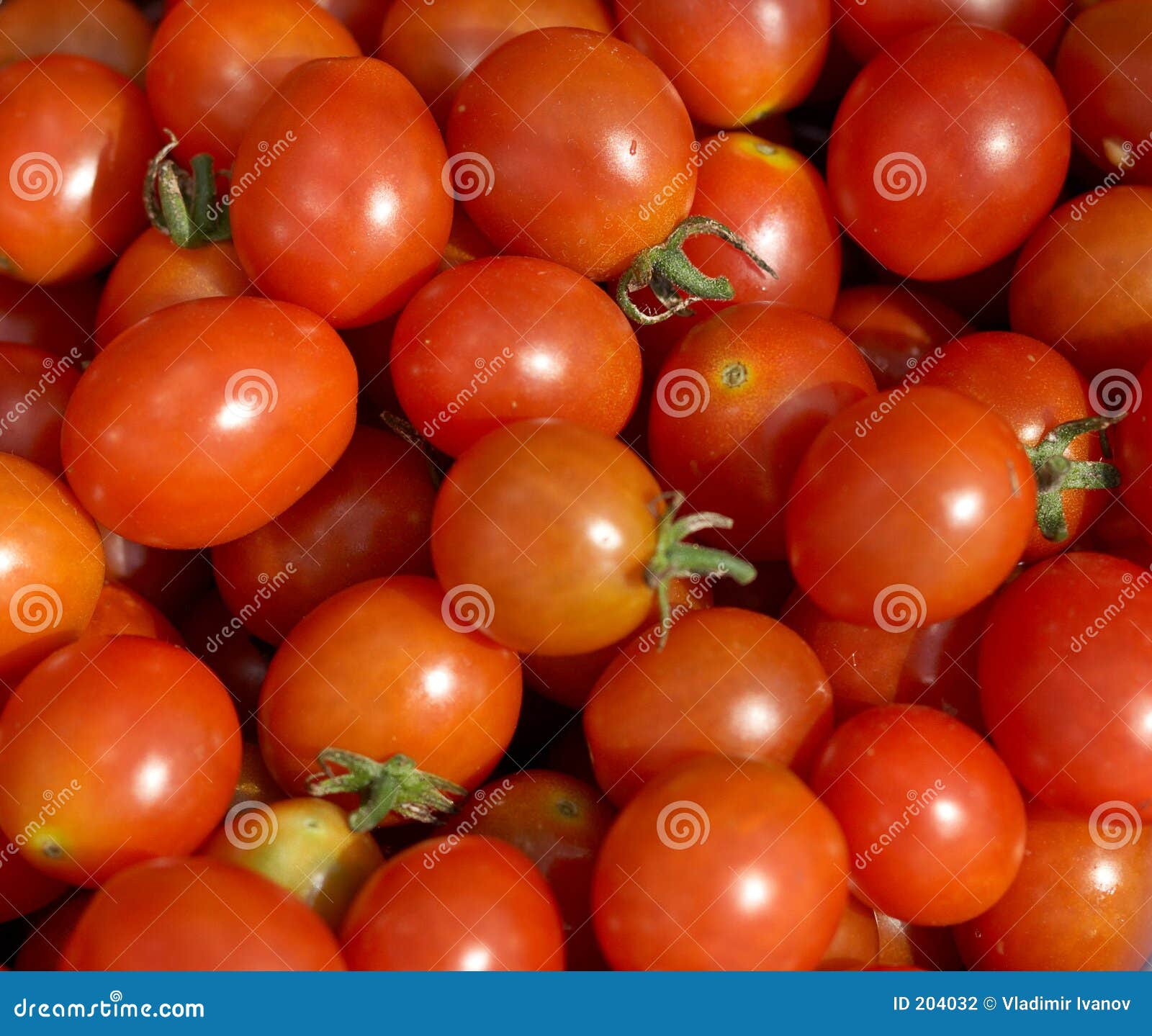 Grape tomatoes stock photo. Image of tasty, garden, tomato - 204032