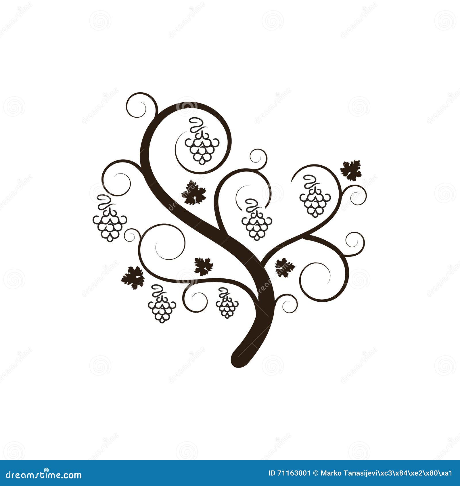 Grape Tree Hand Drawing Vintage Engraving Illustration On White ...