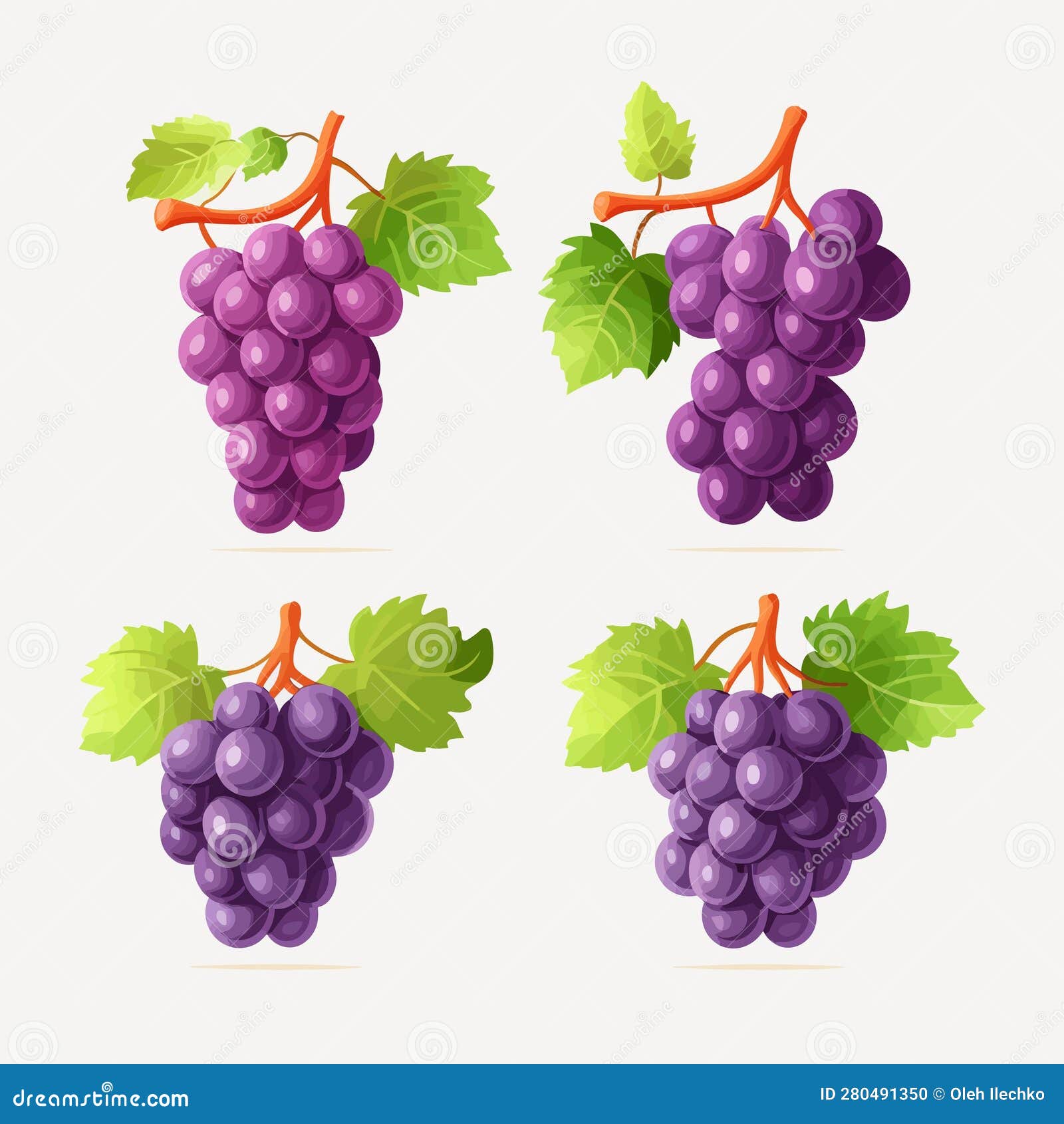 Grape Vector Illustration Set Isolated Illustration Stock Vector ...