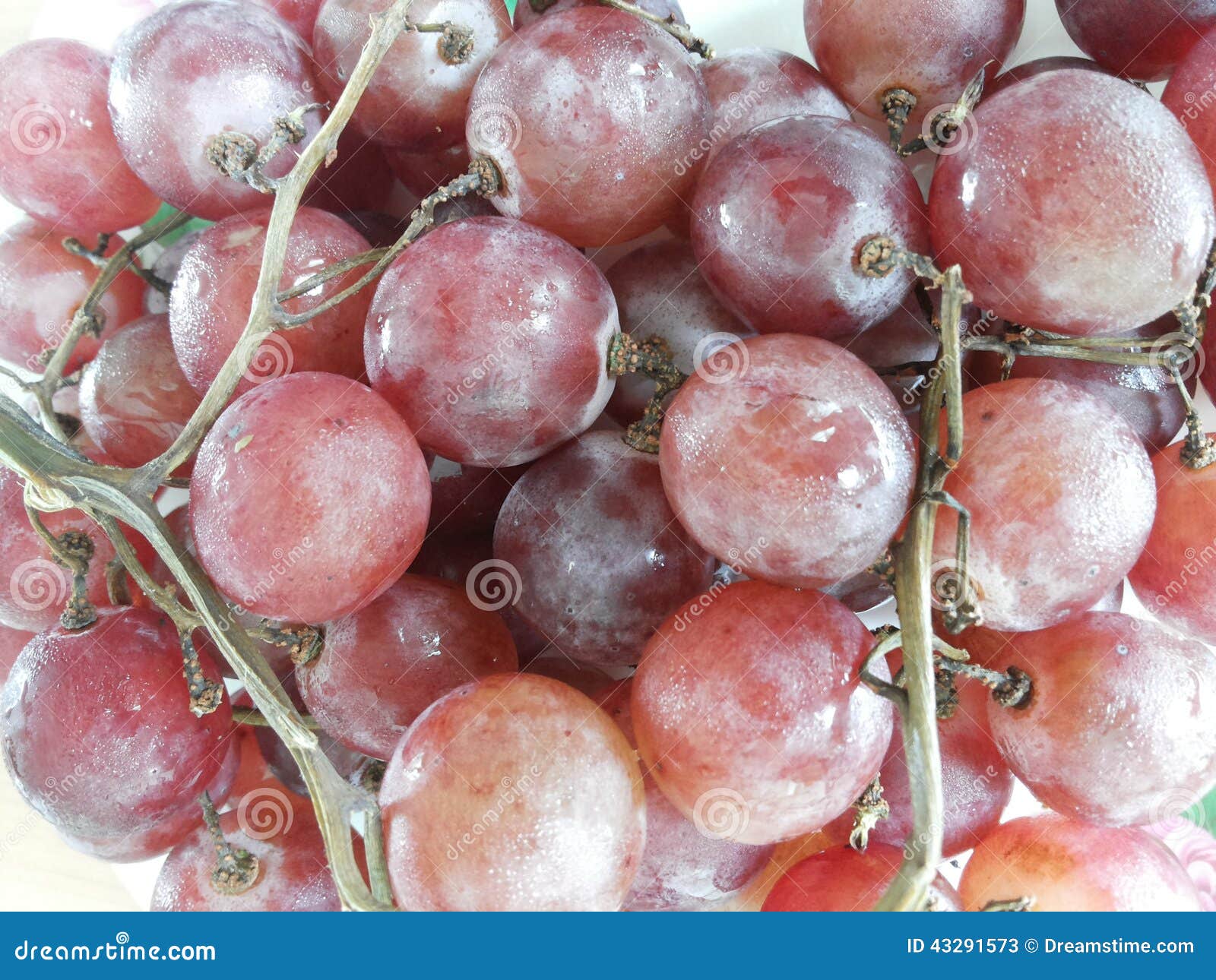 Grape stock image. Image of fruit, view, nature, grape - 43291573