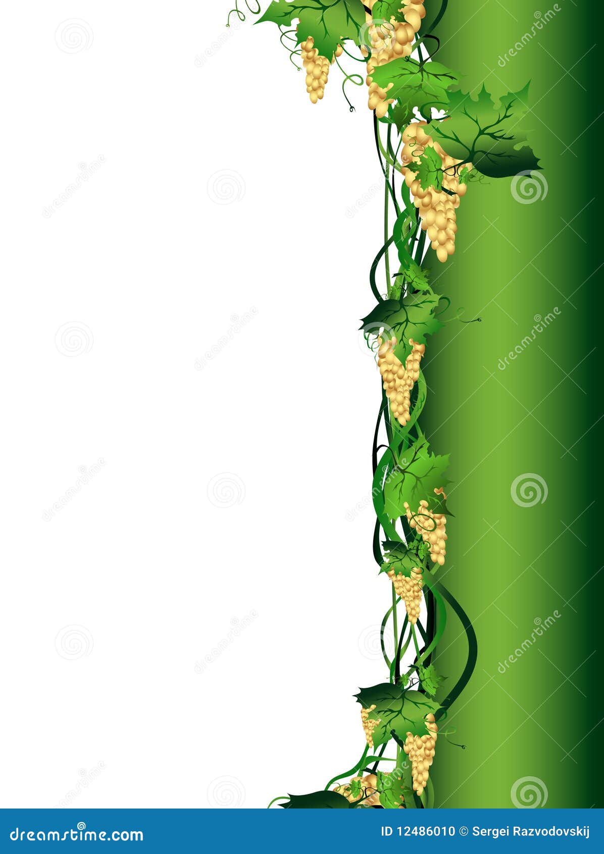 Grape vine stock vector. Illustration of decorative, graphic - 12486010