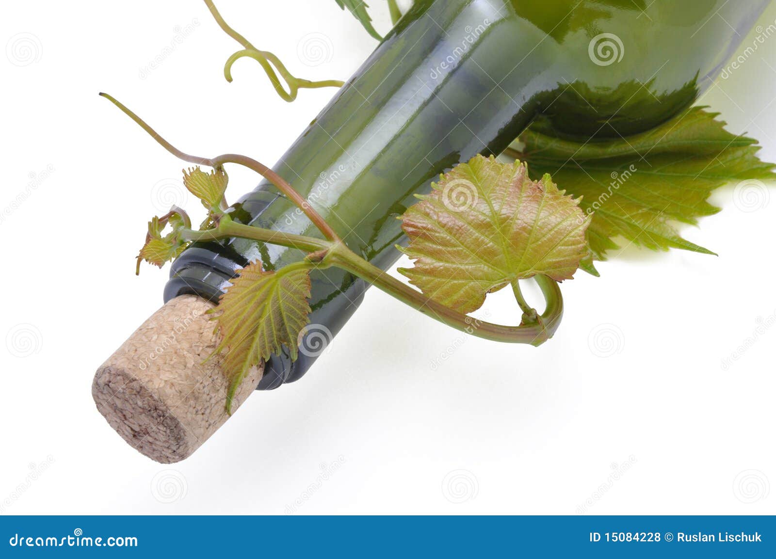 Grape-vine and bottle stock photo. Image of green, vitamins - 15084228