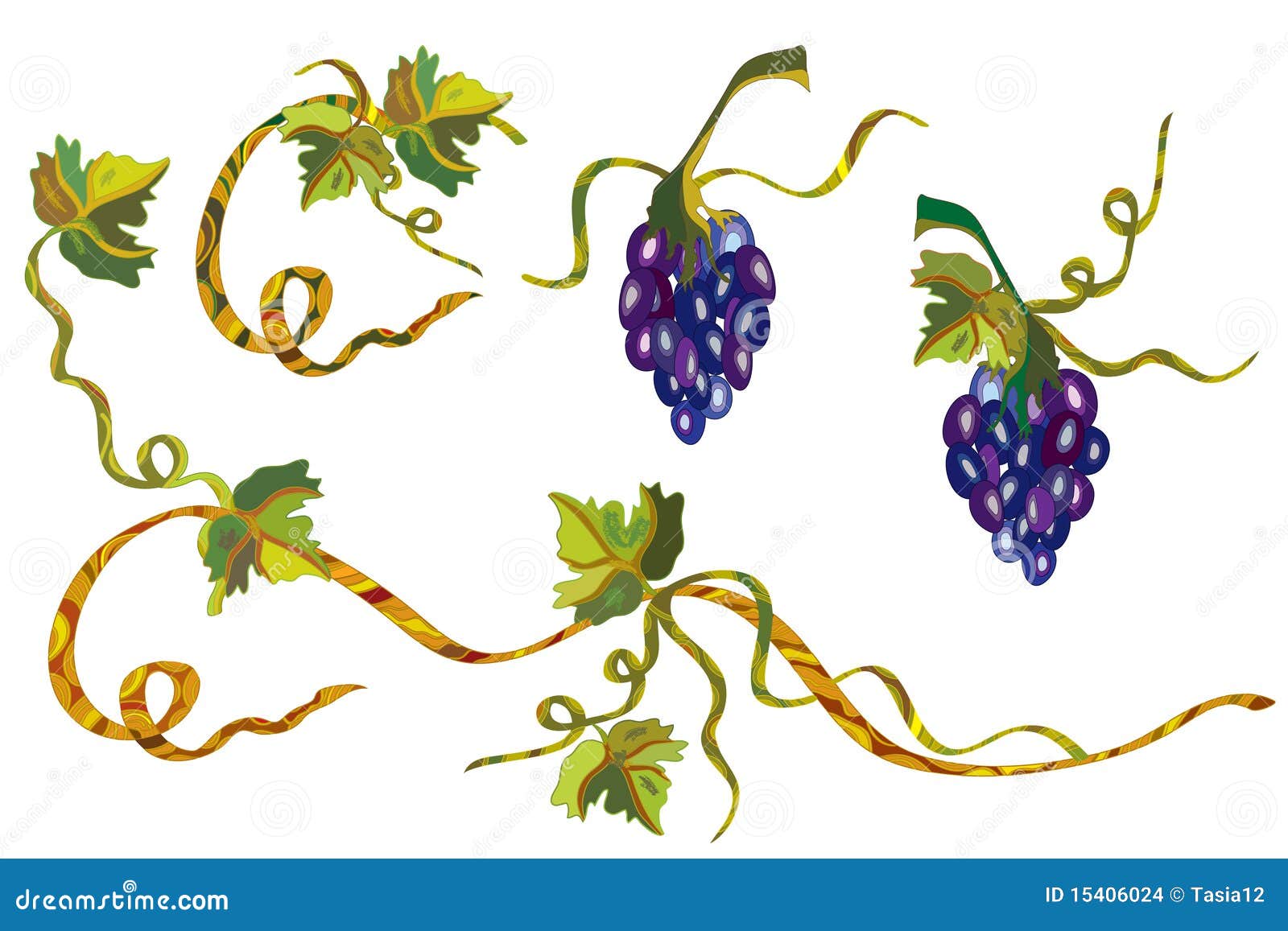 Grape vine design elements stock vector. Illustration of healthy - 15406024