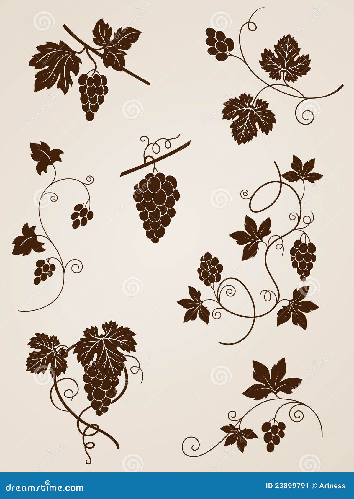 Vines Design