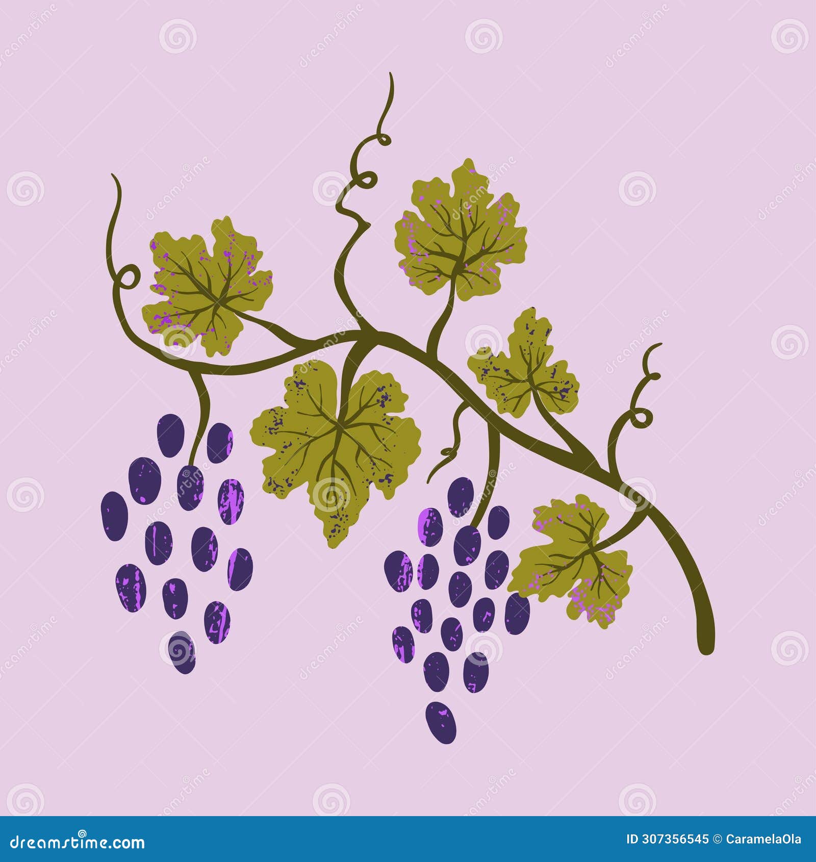 Grape Vine Isolated on a White Background. Vector Illustration for Menu ...