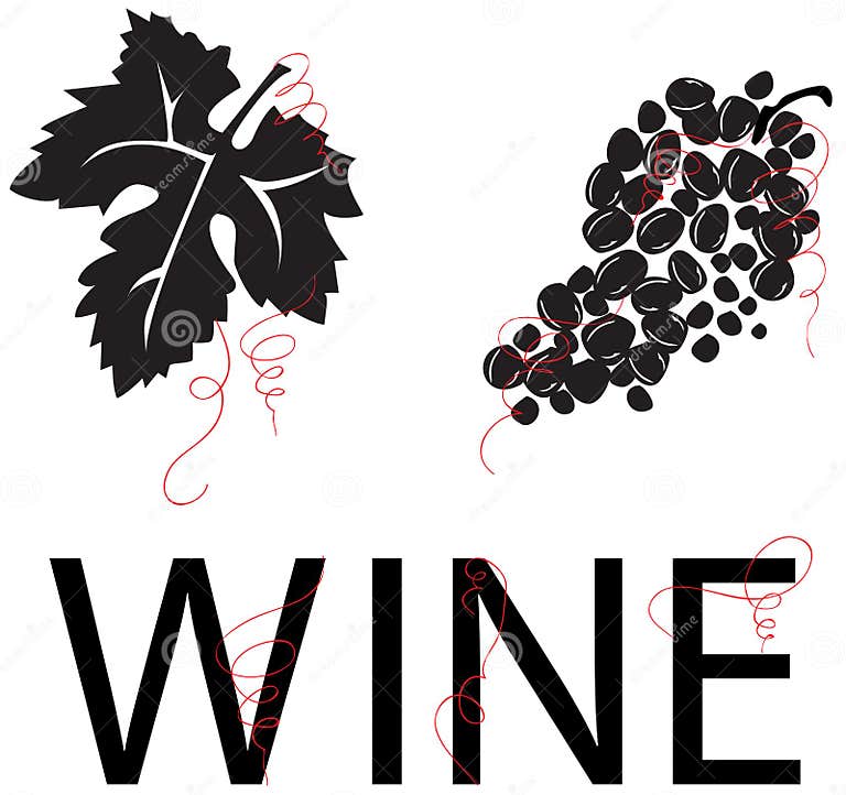 Grape Vine: Leaf, Grapes, & WINE [VECTOR] Stock Vector - Illustration ...