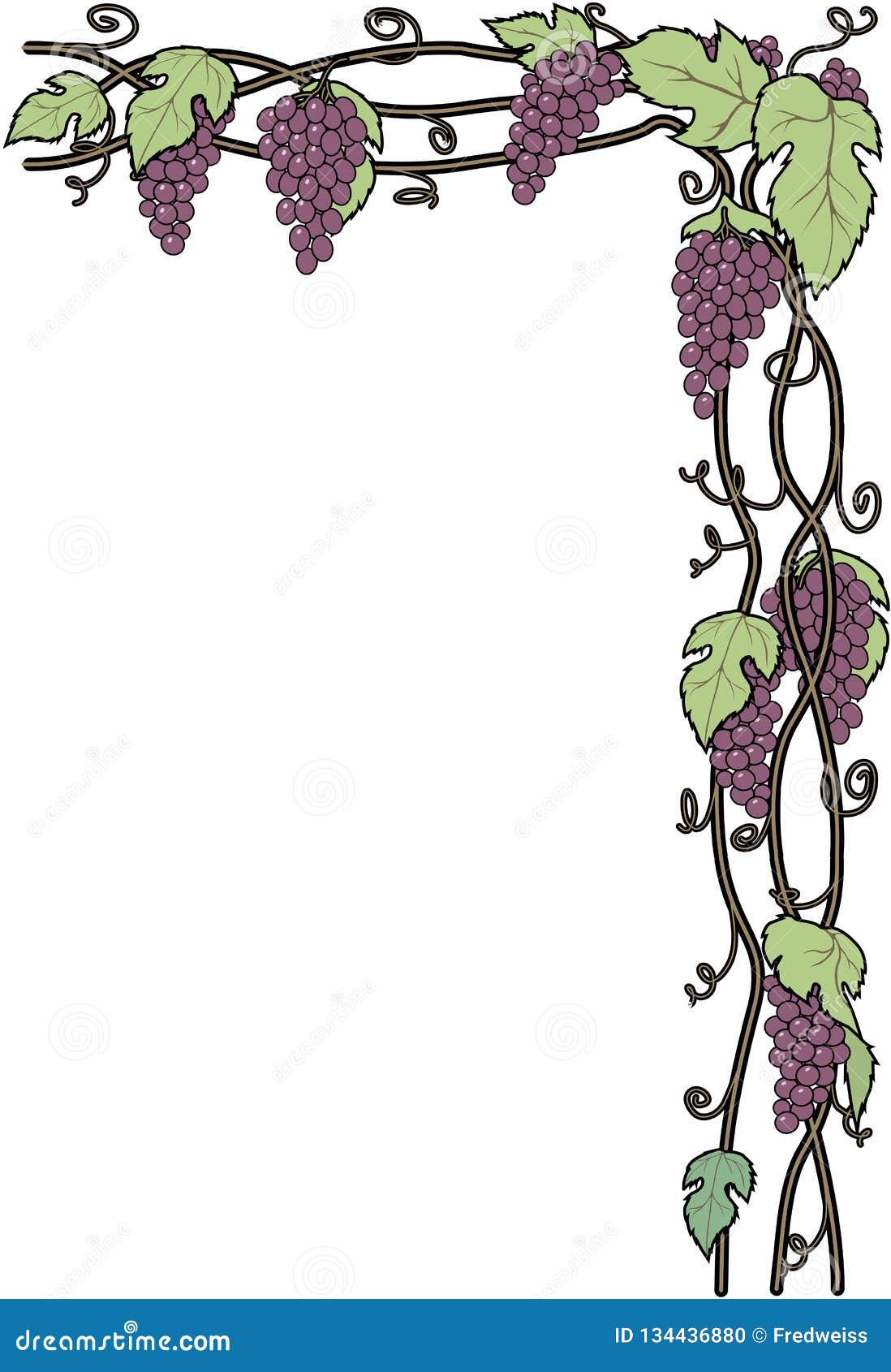 Grape Vines Border Vector Illustration Stock Vector - Illustration of ...
