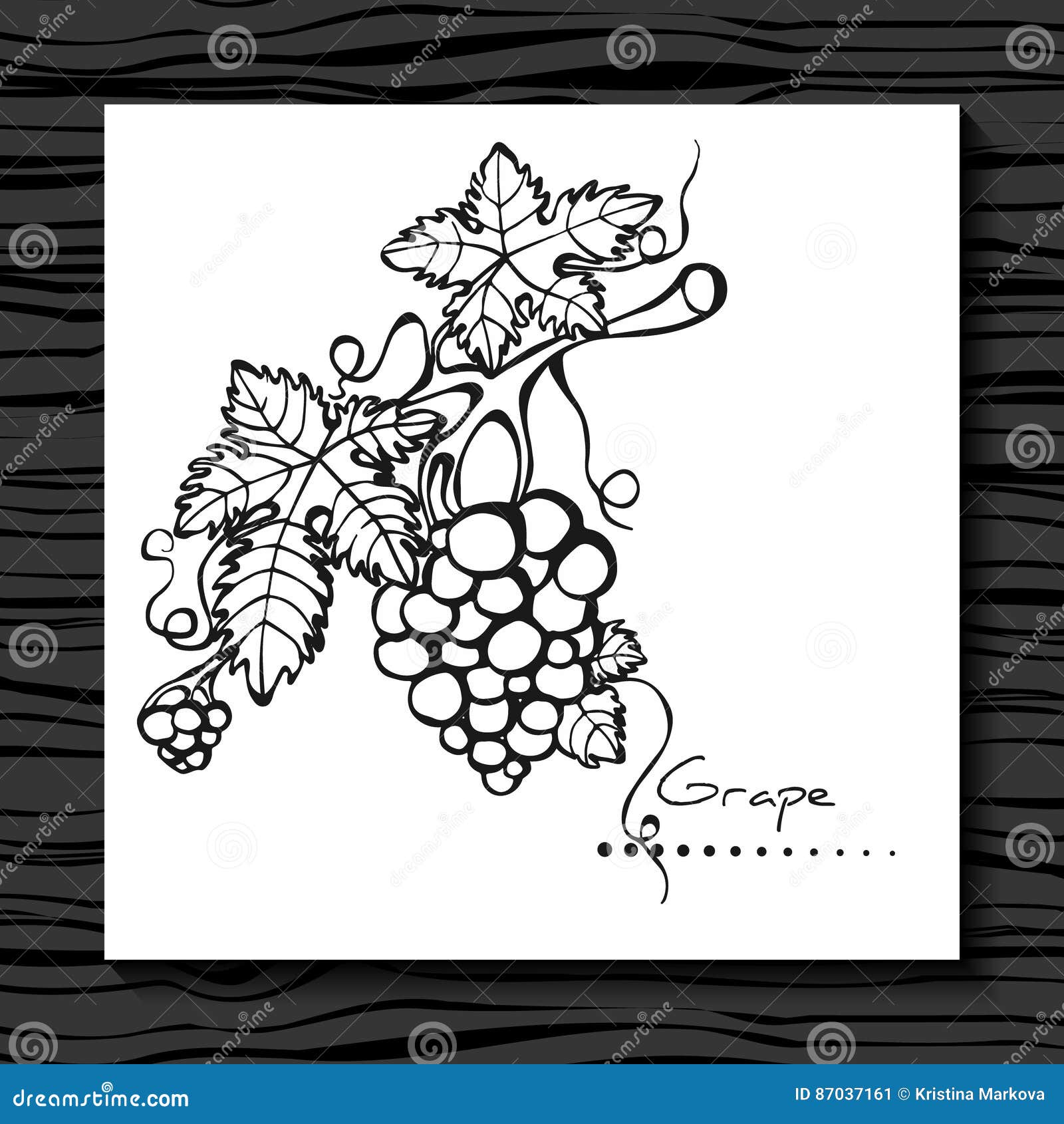 Grape on a White Background. Sketch. Grapevine. Stock Vector ...