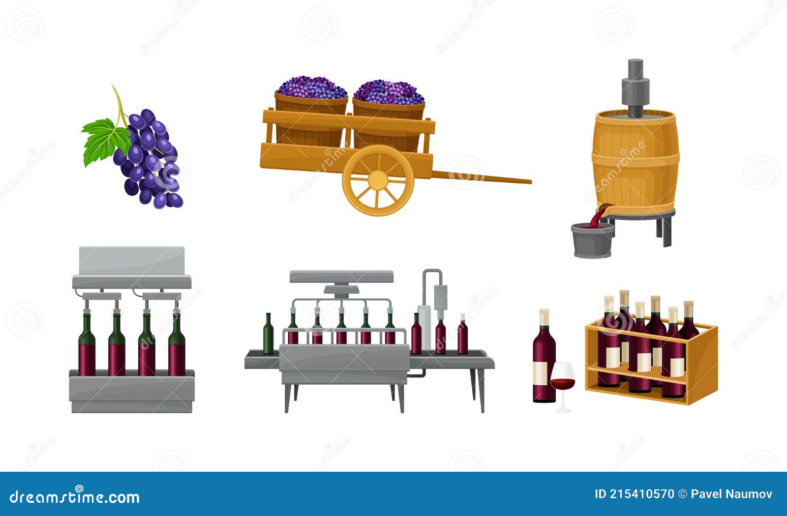 Grape Wine Production with Alcoholic Fermentation and Pouring in ...