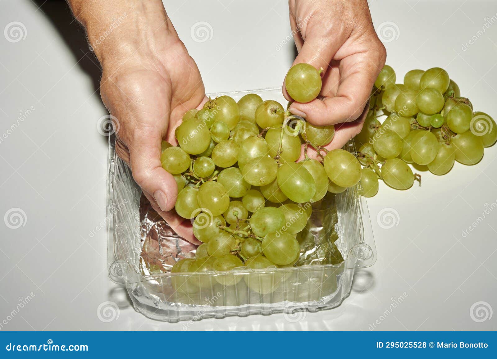 Grape stock photo. Image of hand, fruit, grapes, biologycal - 295025528