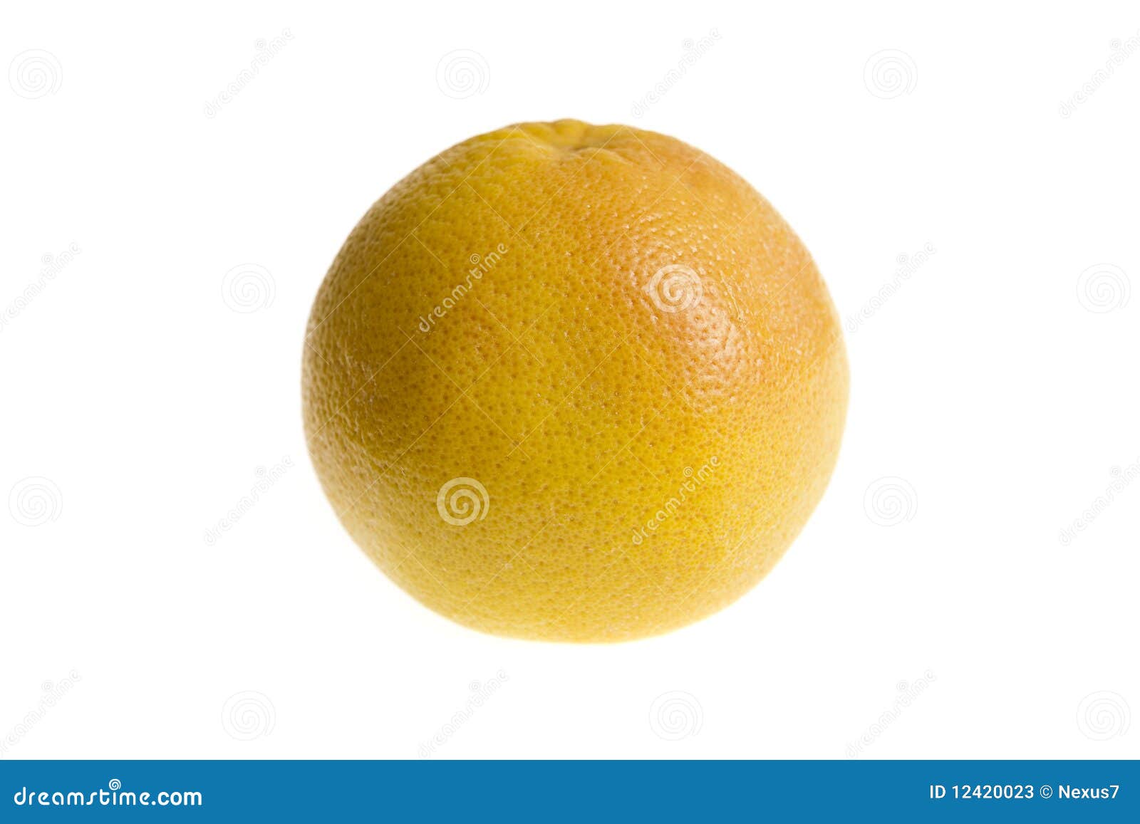 Grapefruit stock image. Image of tropical, health, garden - 12420023
